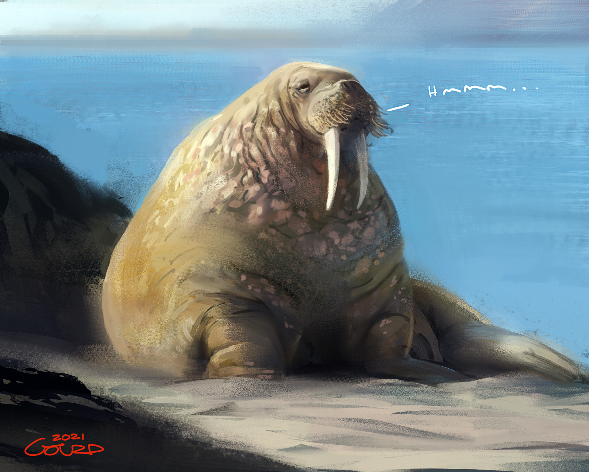 ArtStation - walrus photo studies
