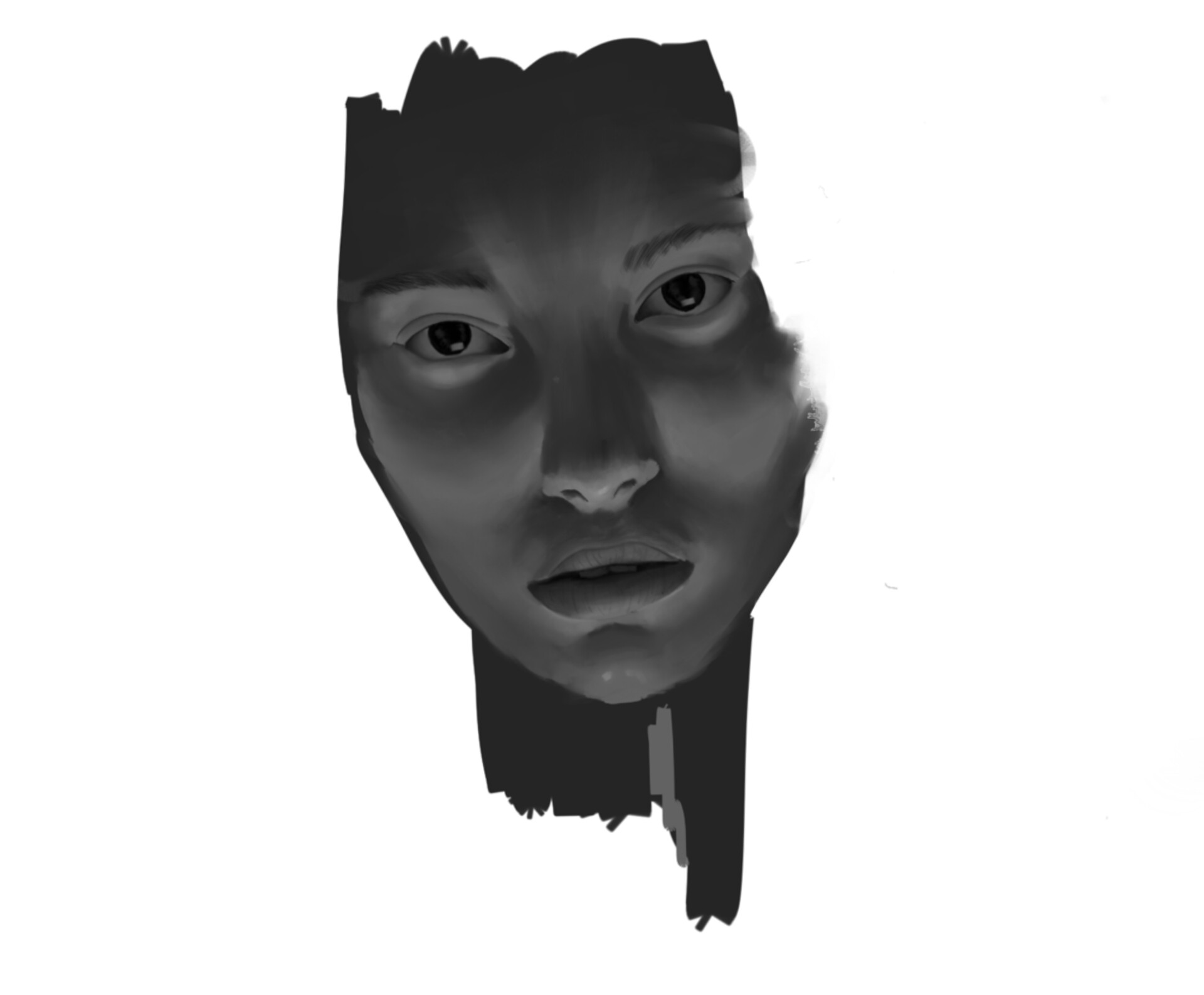 ArtStation - First Ever Digital Study