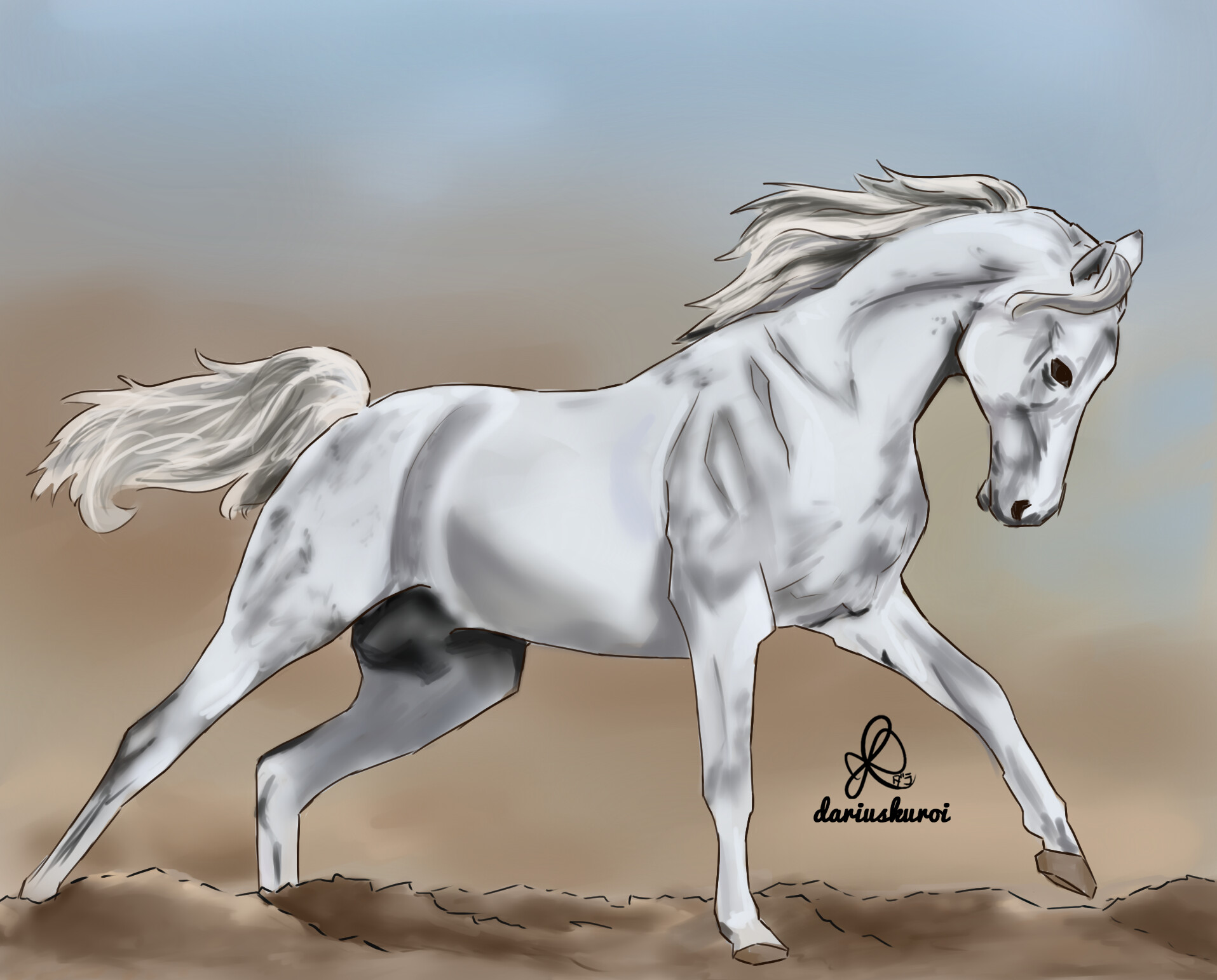 Sandra Collazo - Animals