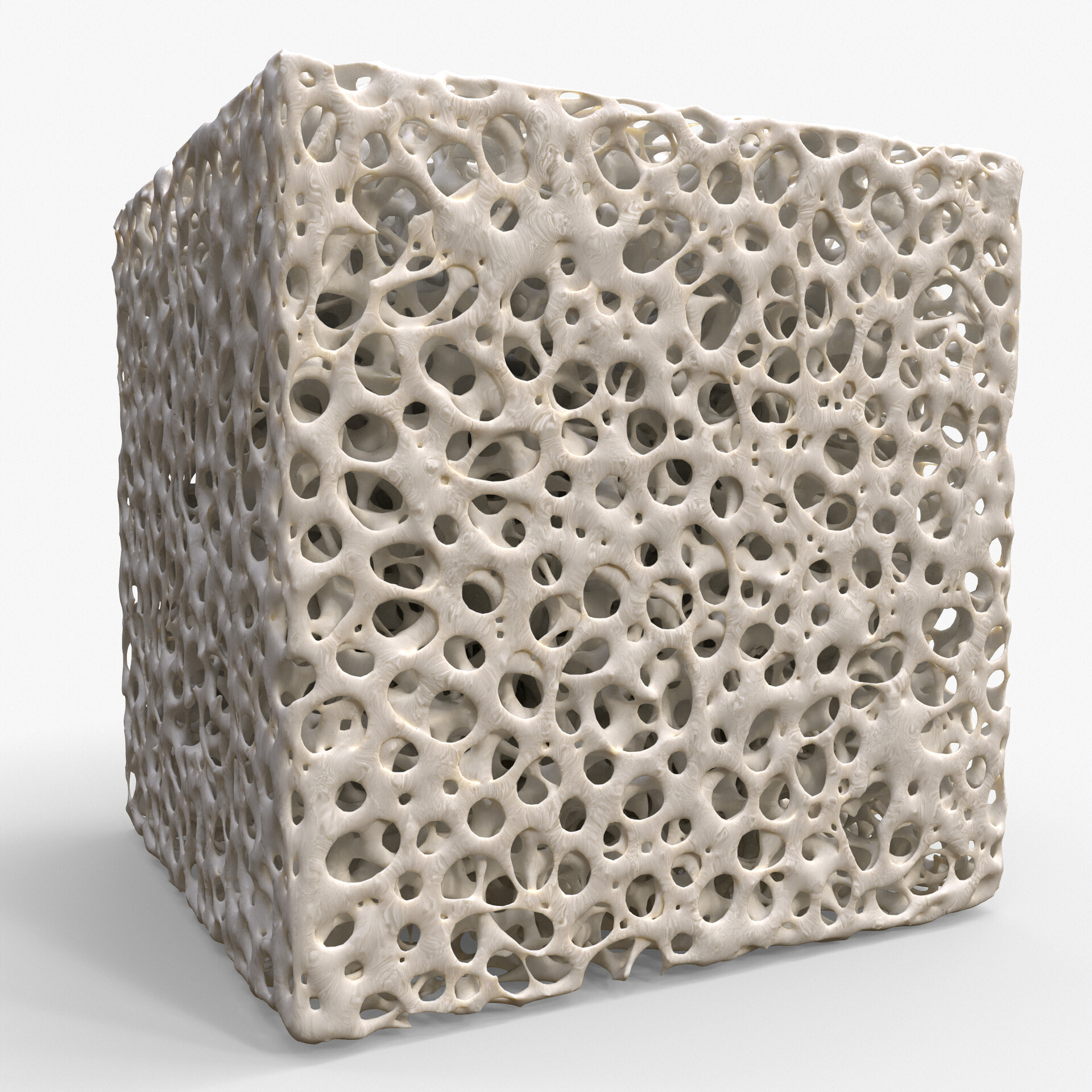 3D Lime - Bone Sponge Structure