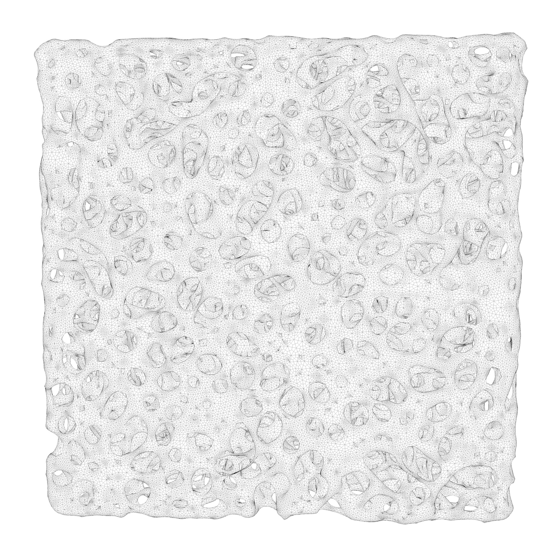 3D Lime - Bone Sponge Structure