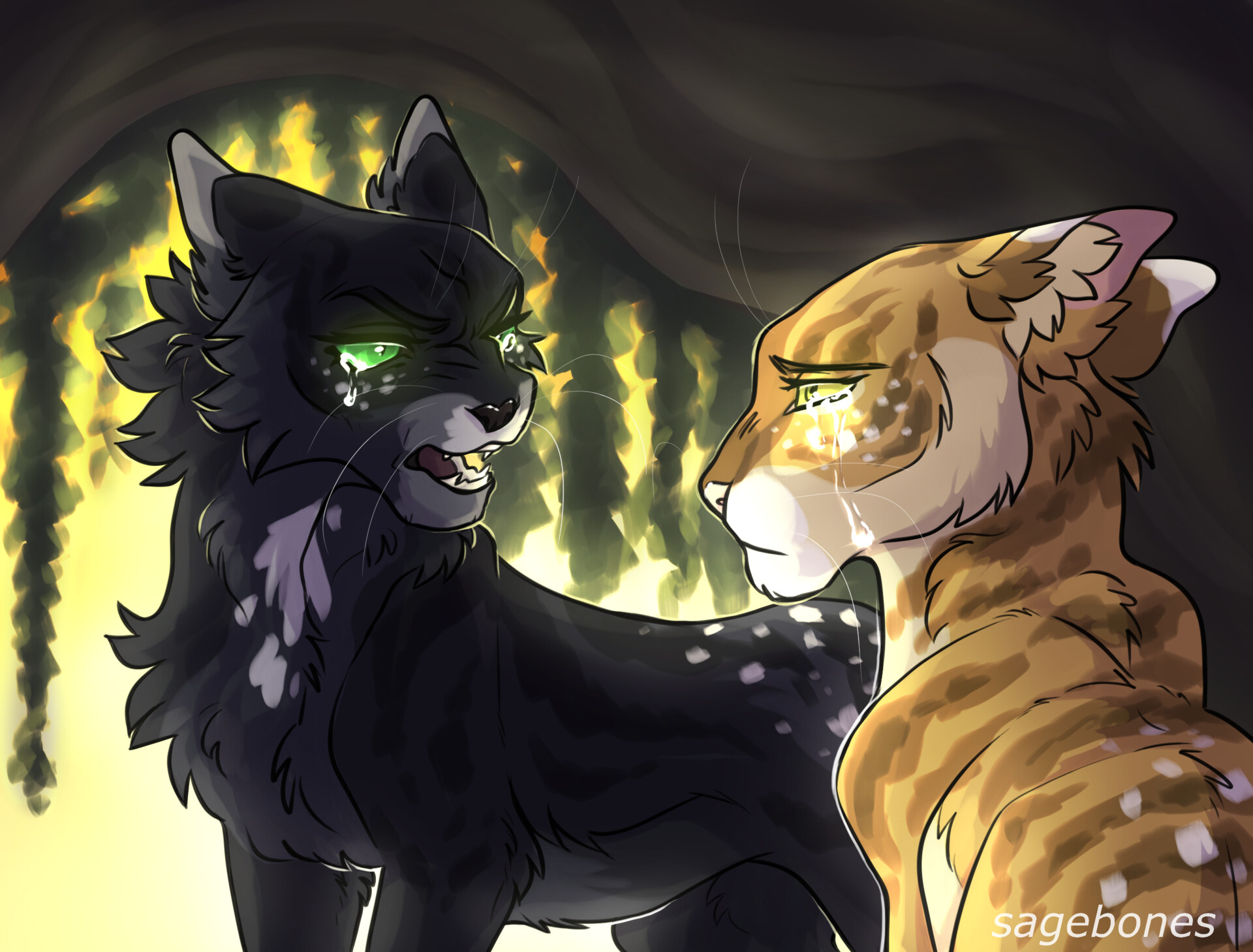Hollyleaf