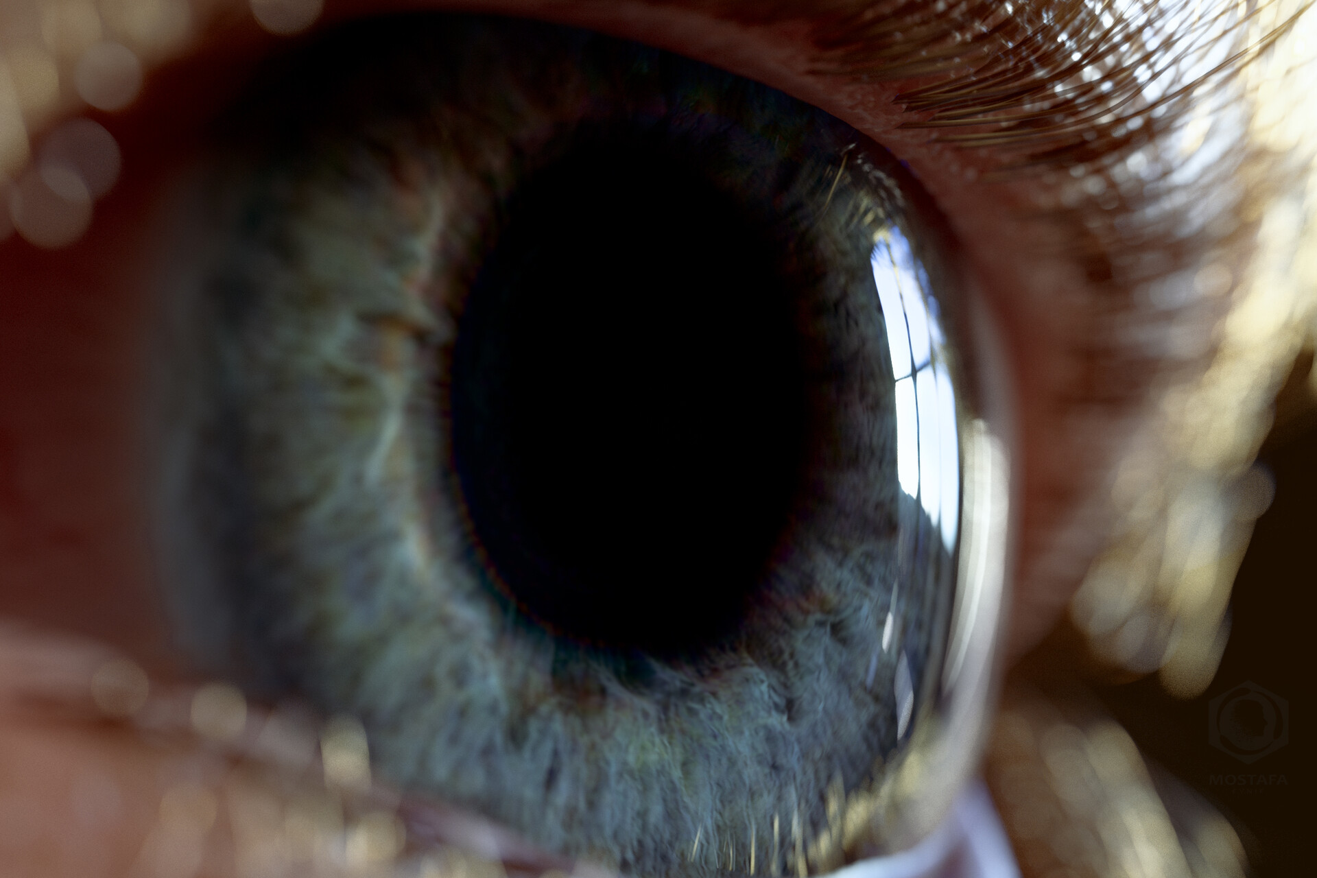 ArtStation - Blue Eye