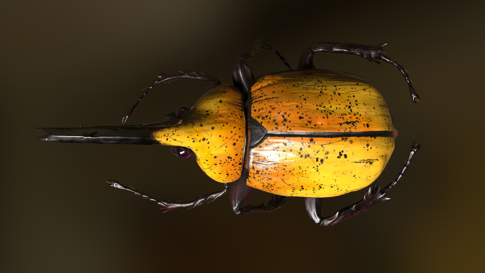 Marina Garner - Demo Reel - Environmental Replication Apparatus