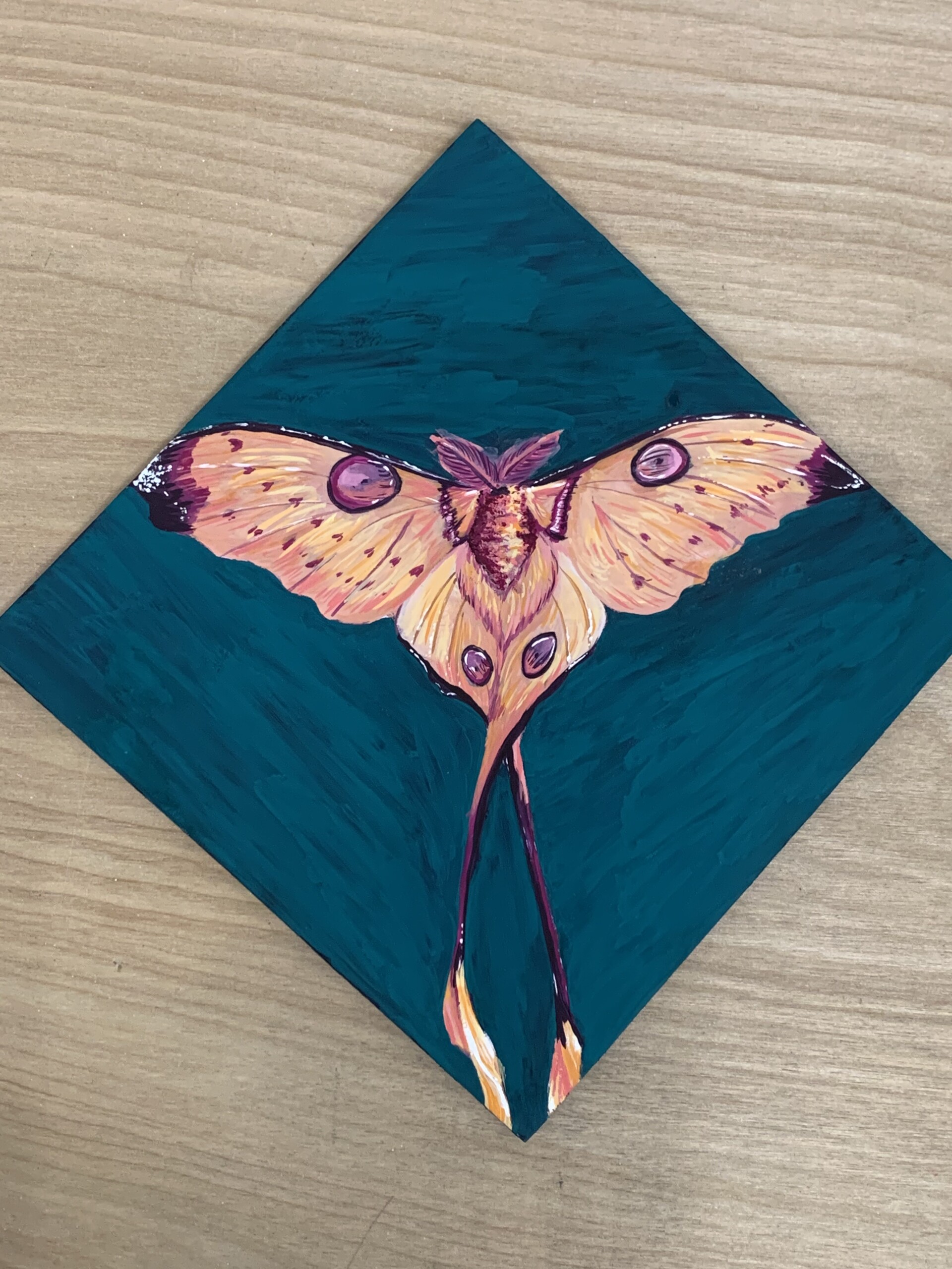 ArtStation - Moth gouache on wood study