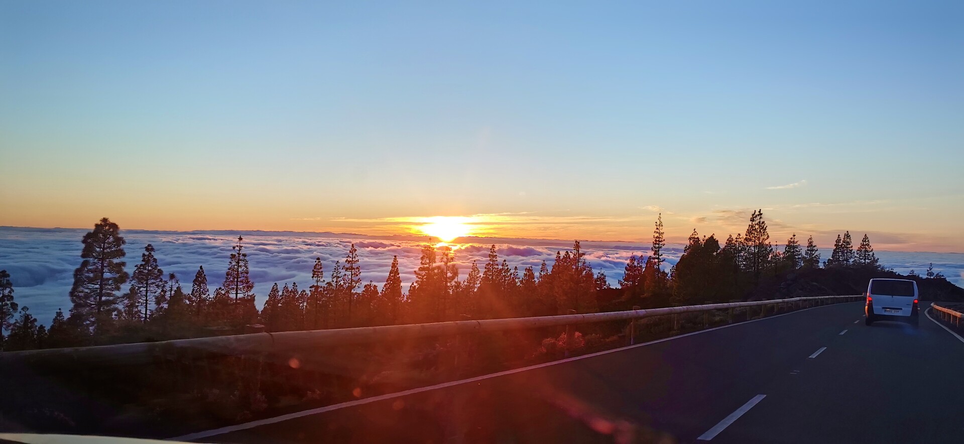 Anna Marinelli - Tenerife