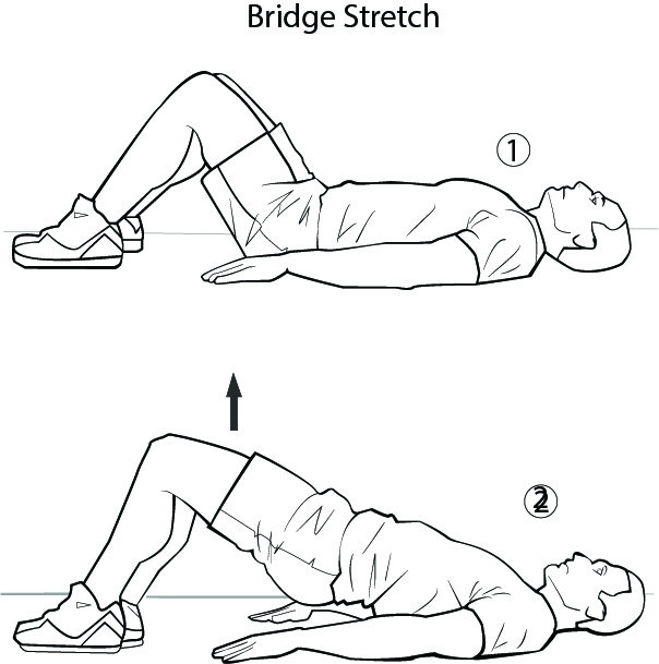 Sarah Freeman - Exercise Line Drawing - 2020