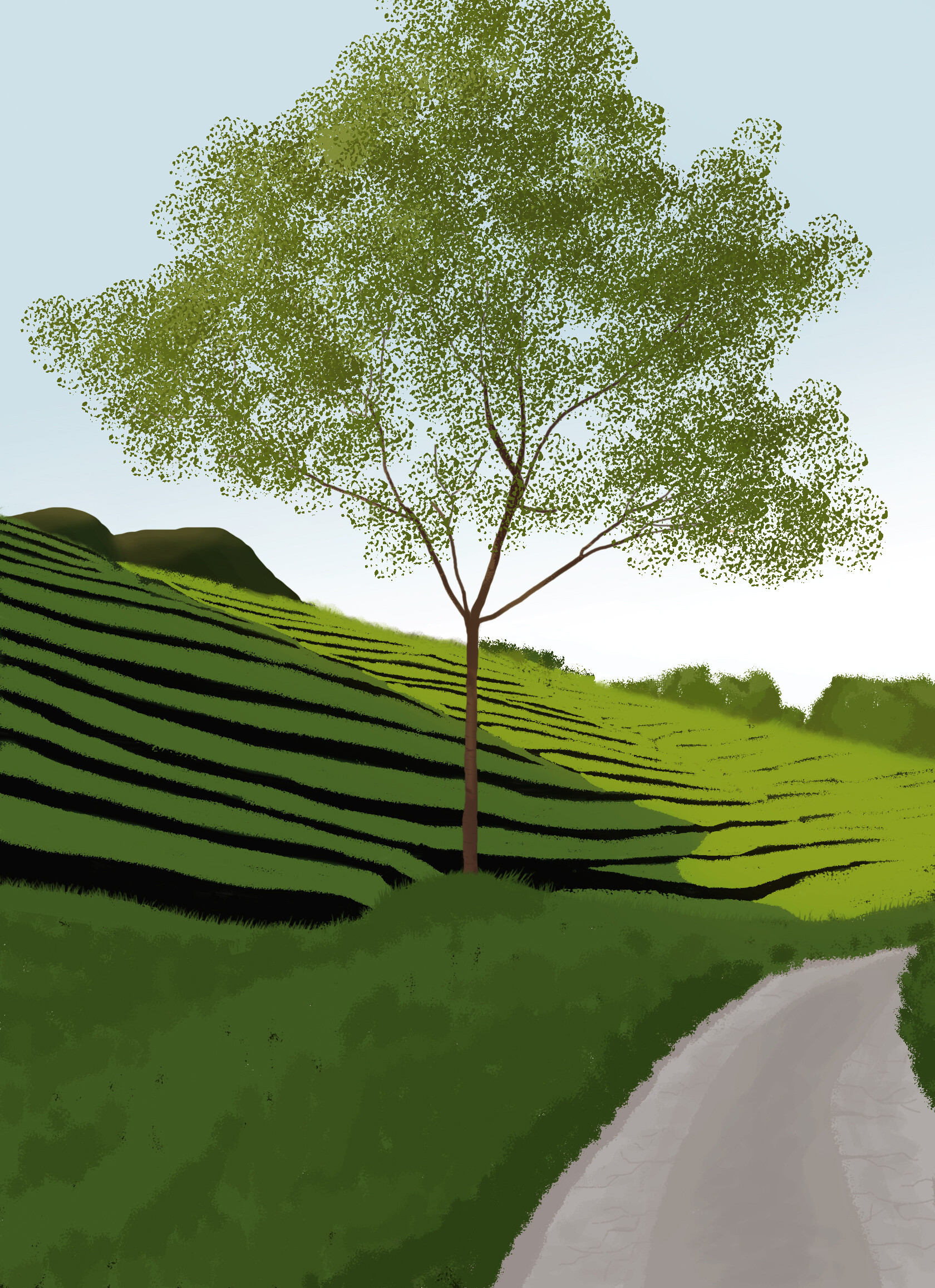 ArtStation - Hill Slopes