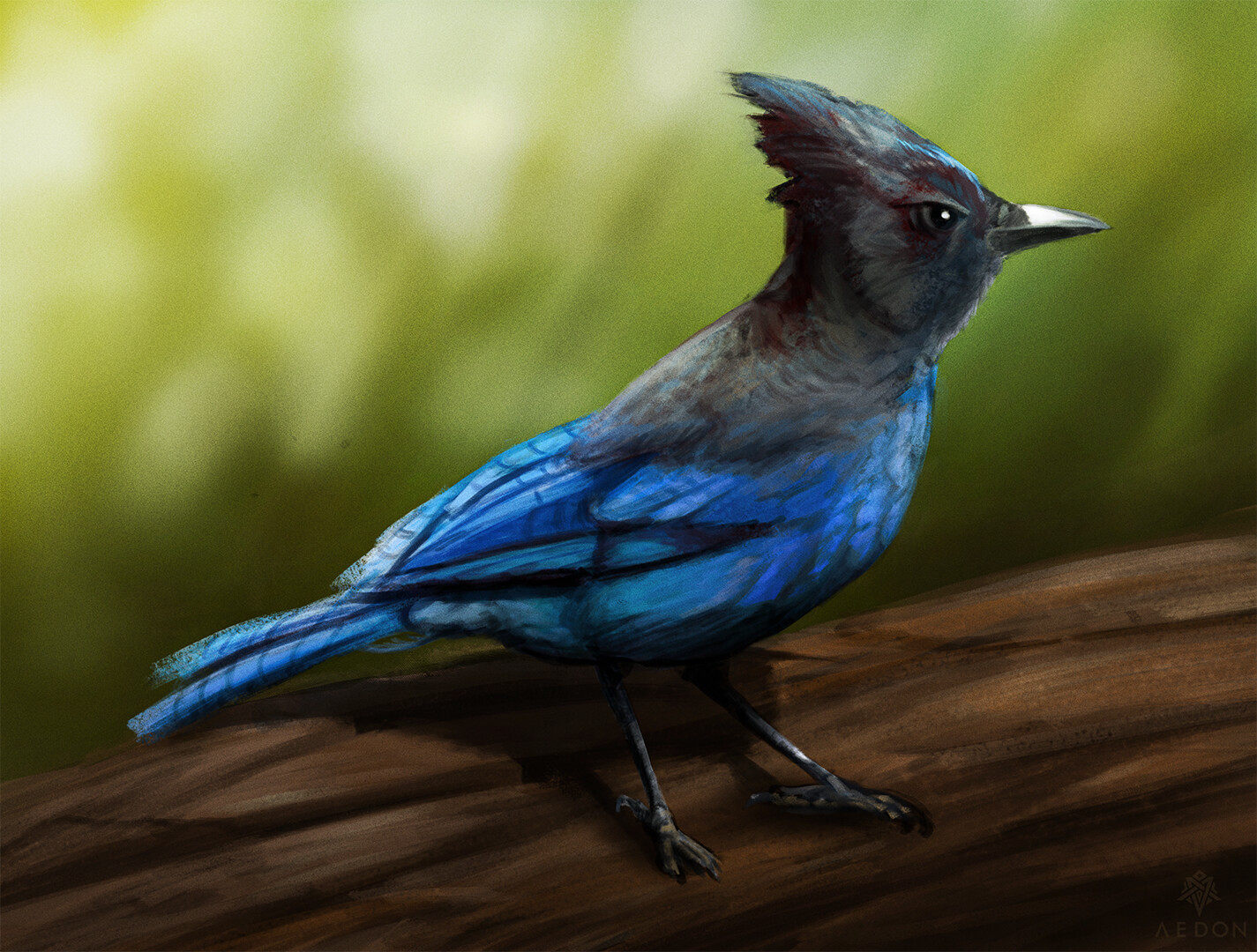 ArtStation - Bird Study