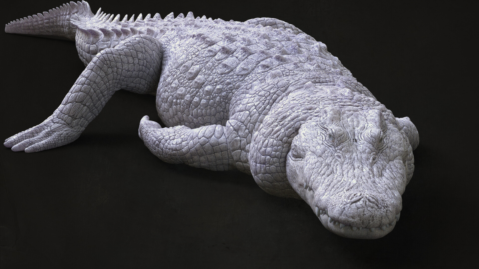 Aritz Basauri - Albino Alligator