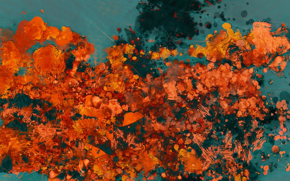 ArtStation - Elevation