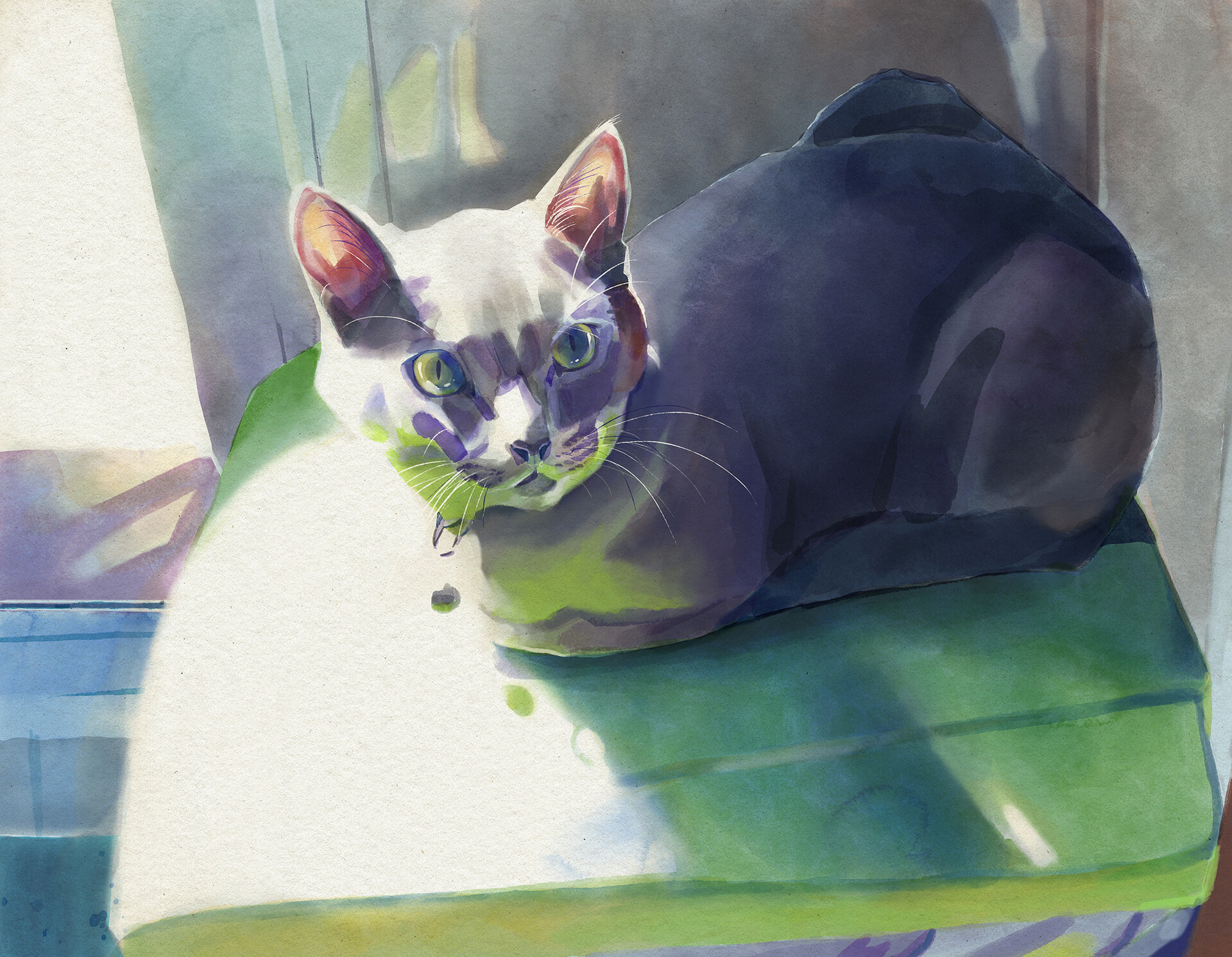 ArtStation - Cat studies