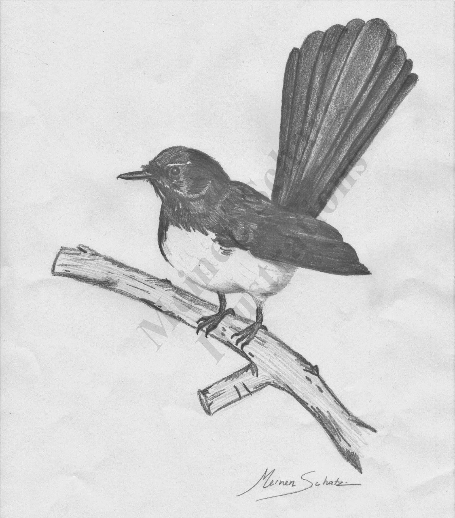 ArtStation - Willy Wag Tail