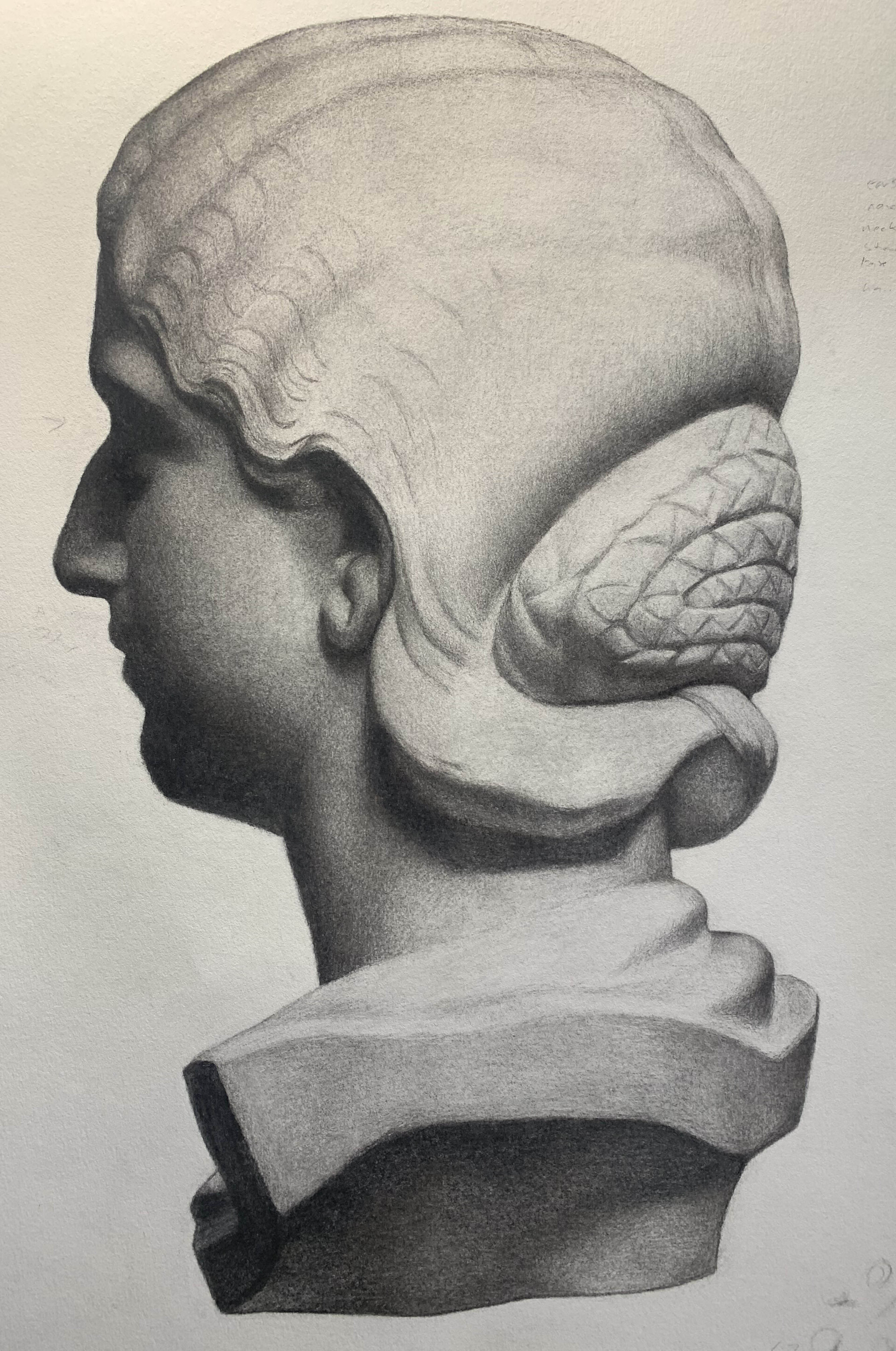 ArtStation - Charles Bargue Study in Charcoal