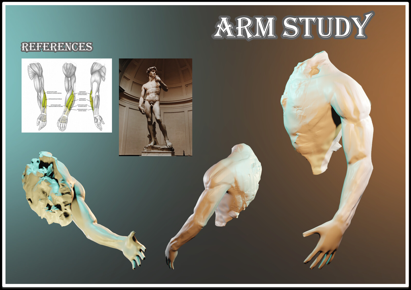 Sammi Jones - Arm Study