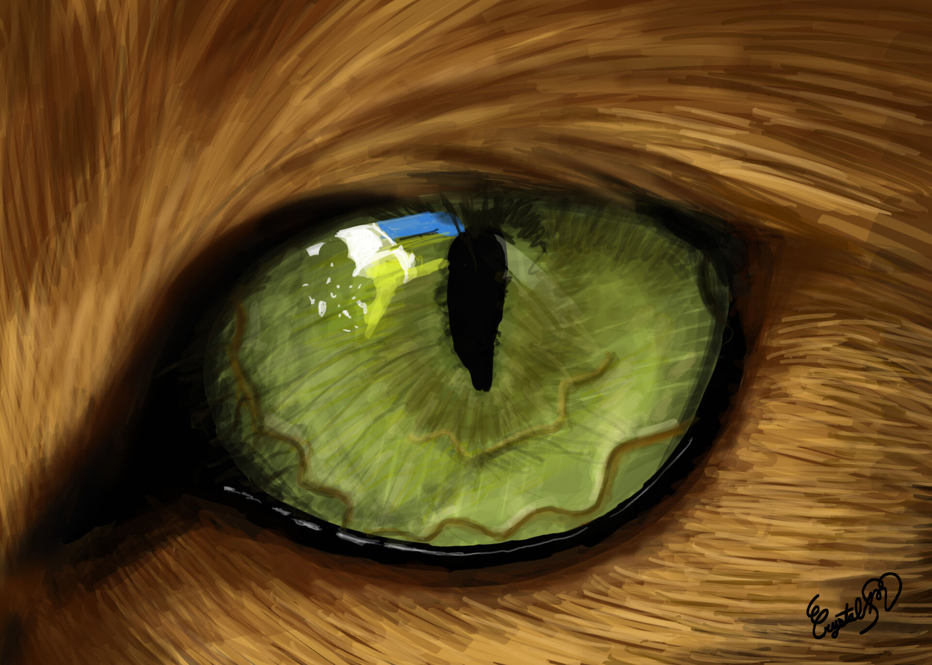 ArtStation - Cat's Eye