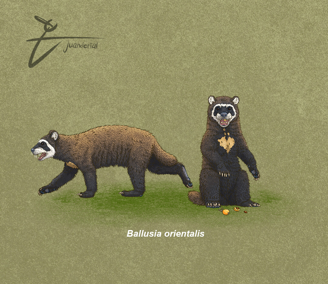 Juandertal - Bears, extinct