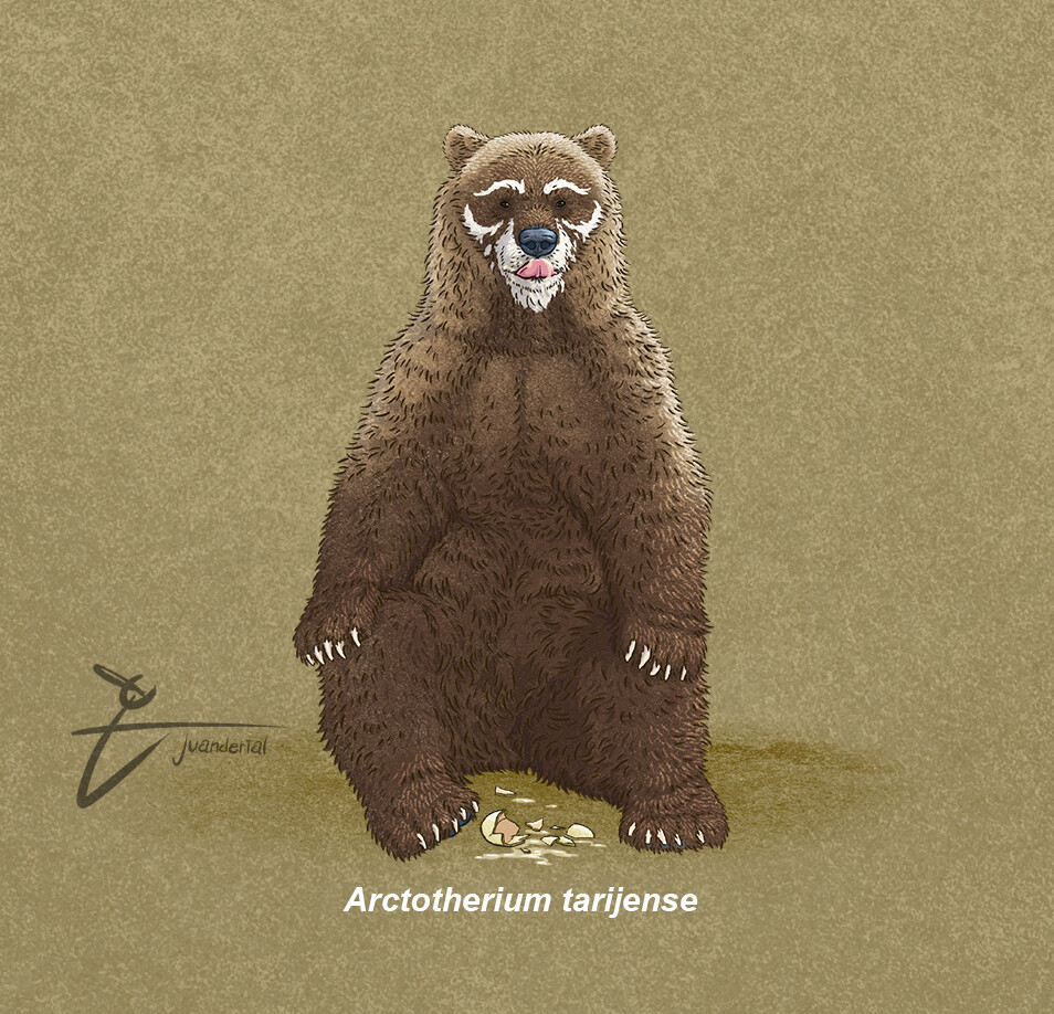 Juandertal - Bears, extinct