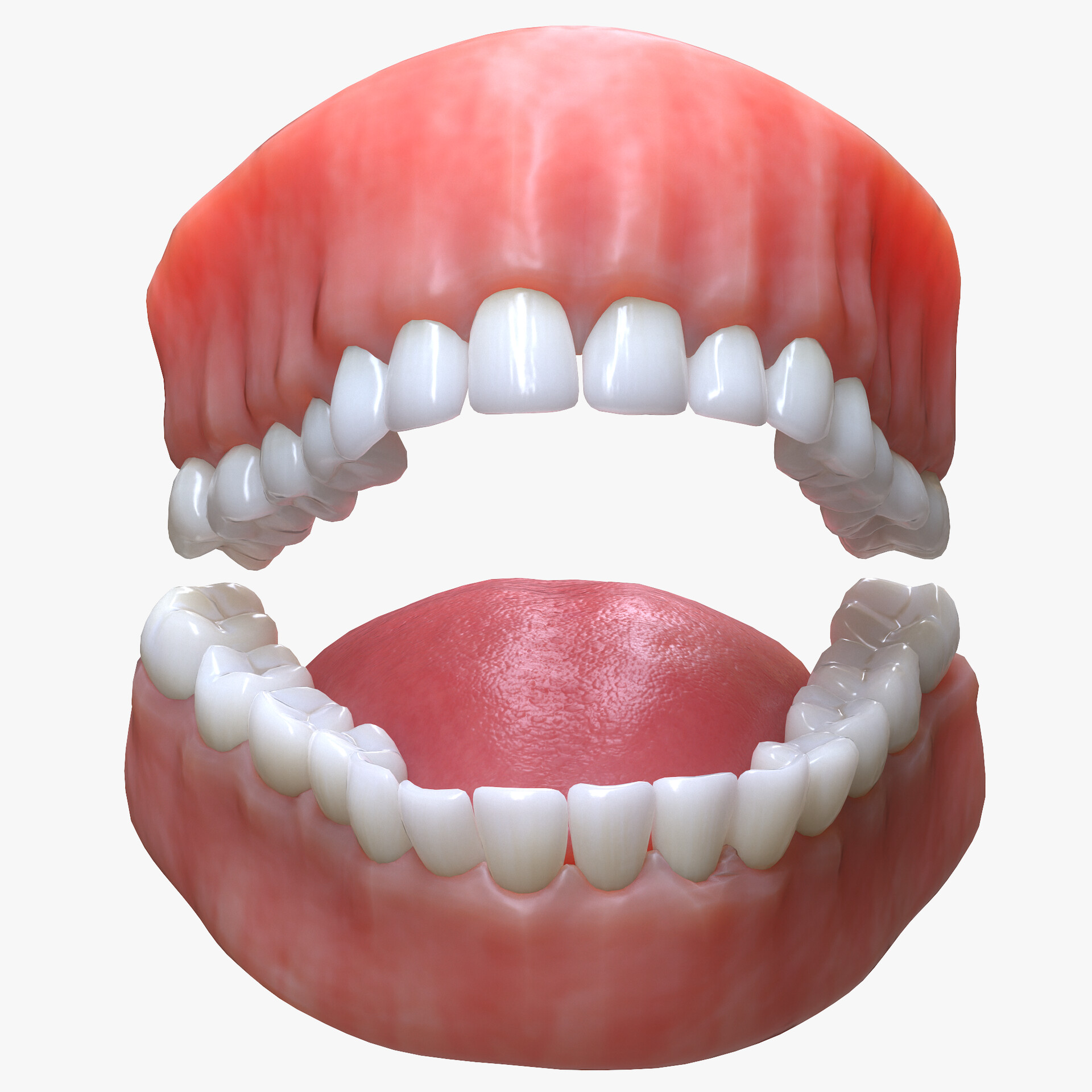 3D Lime - Human Mouth Teeth Tongue
