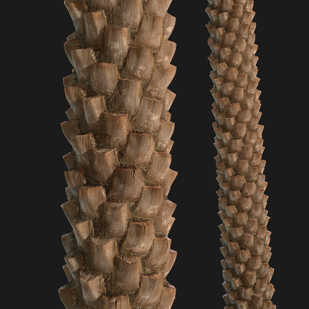 ArtStation - Tree palm & pine tree