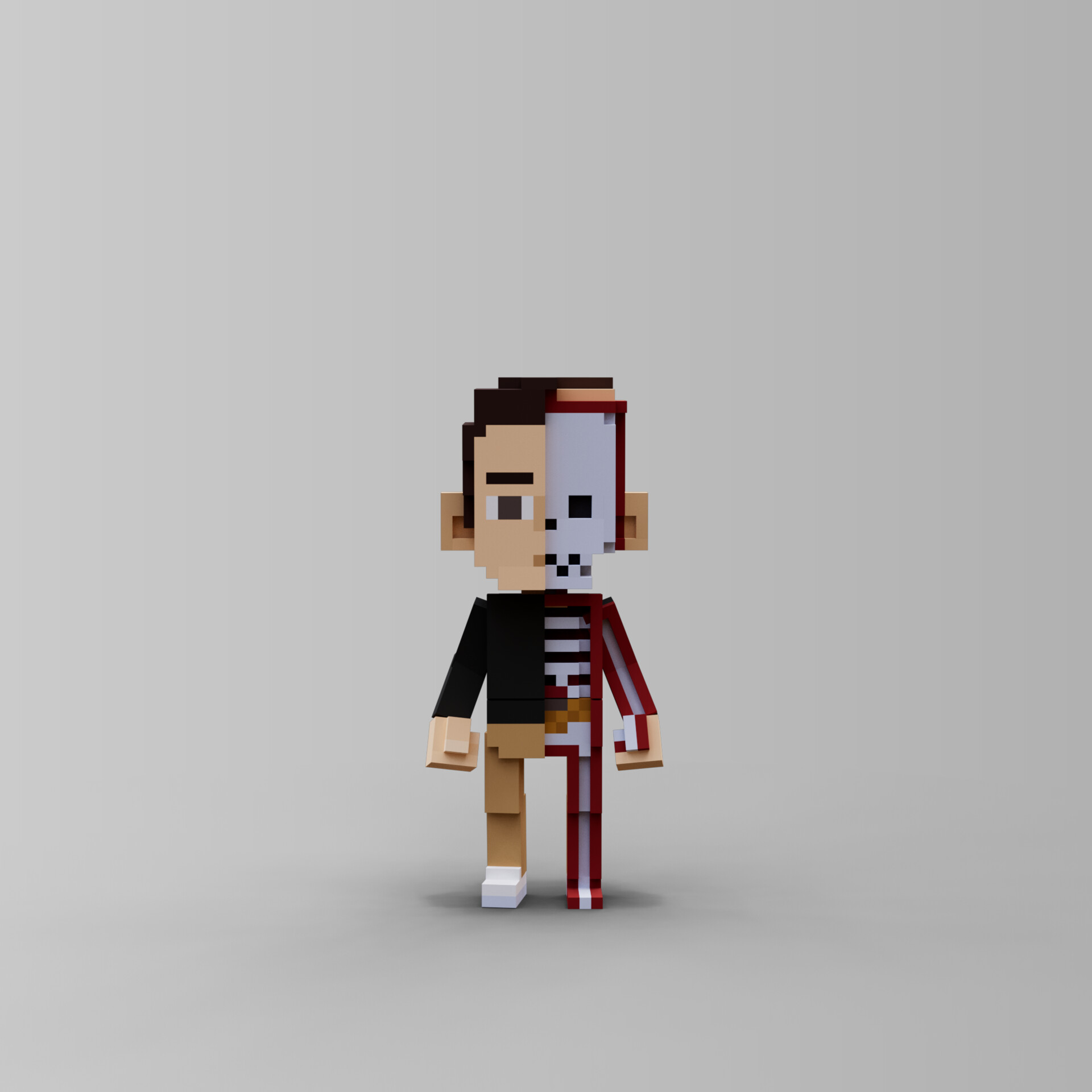 ArtStation - Anatomical Small Human