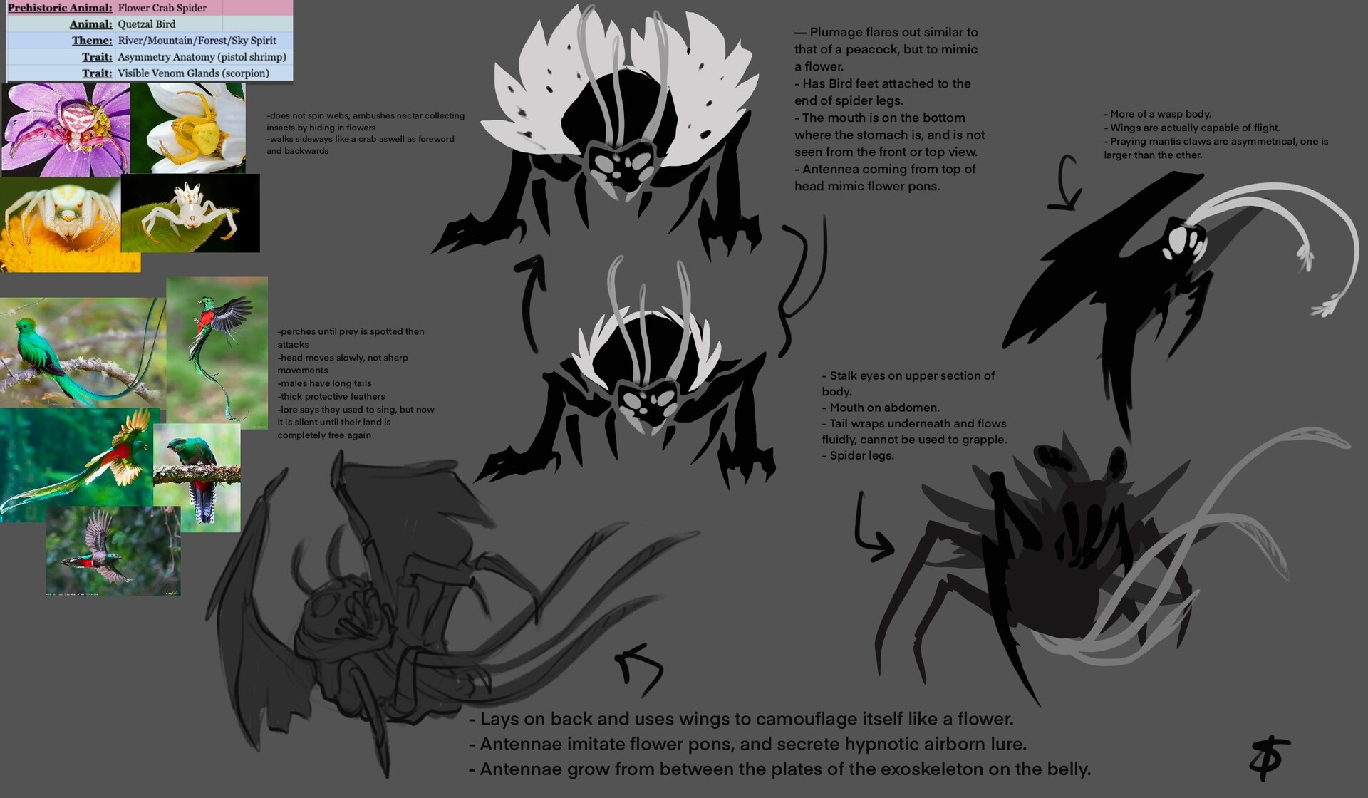 Grimm Spider Creatures