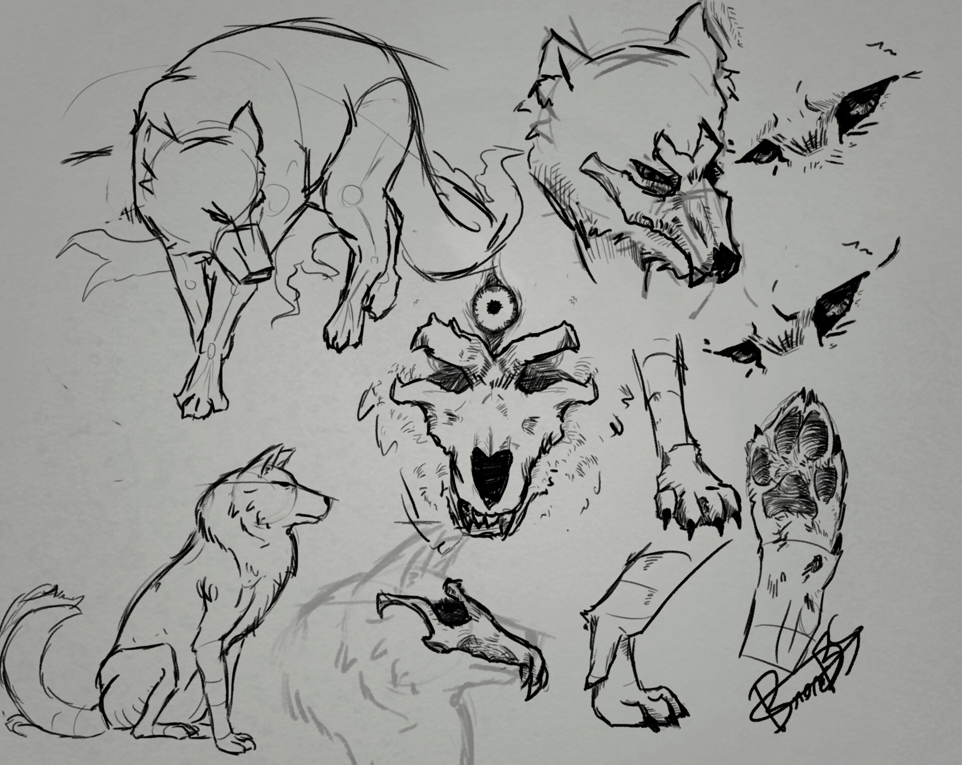 wolf eye drawing reference