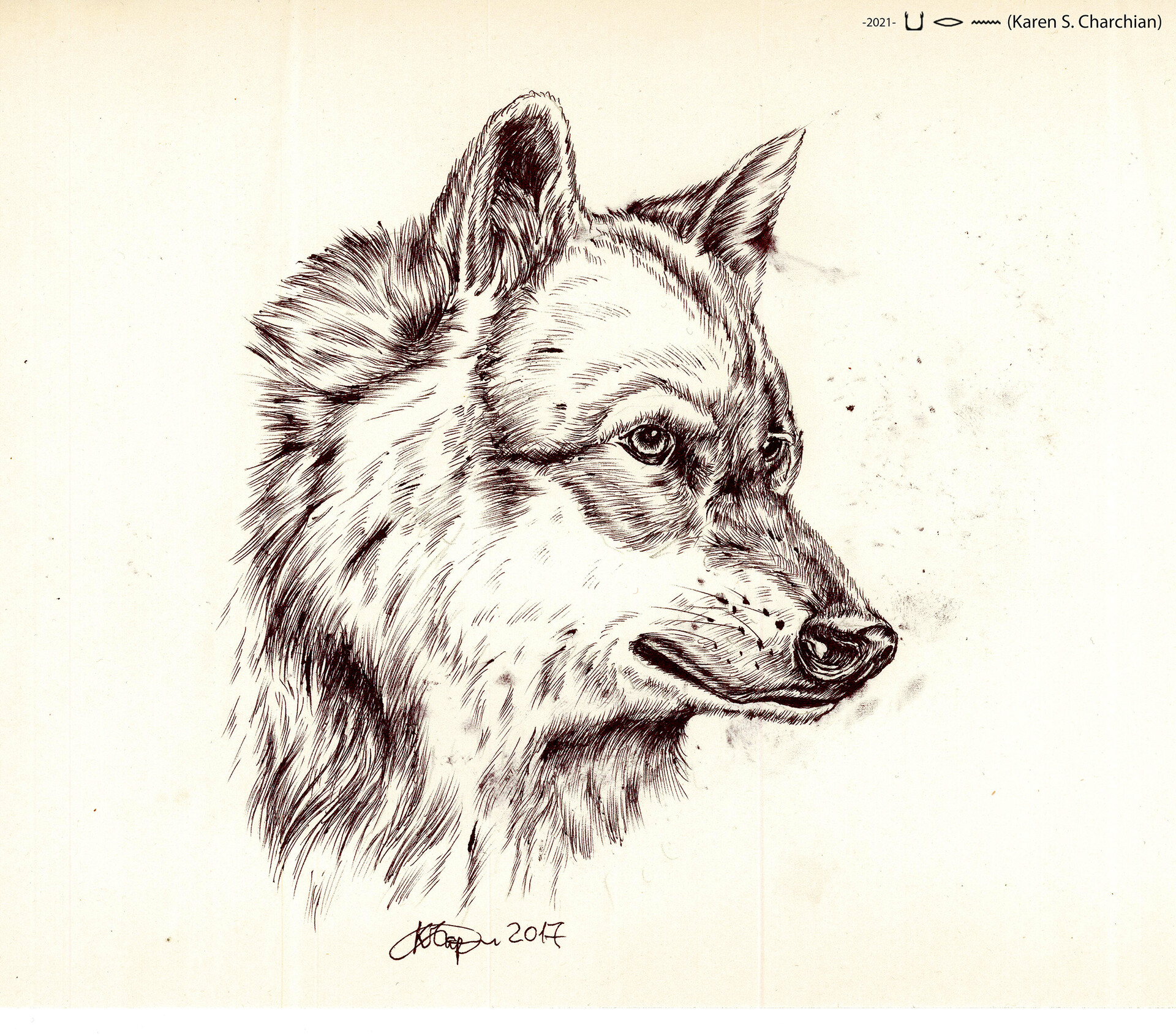 ArtStation - Wolf-cub