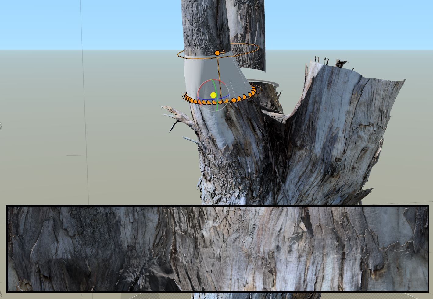 John B - SpeedTree Photogrammetry Eucalyptus Experiments