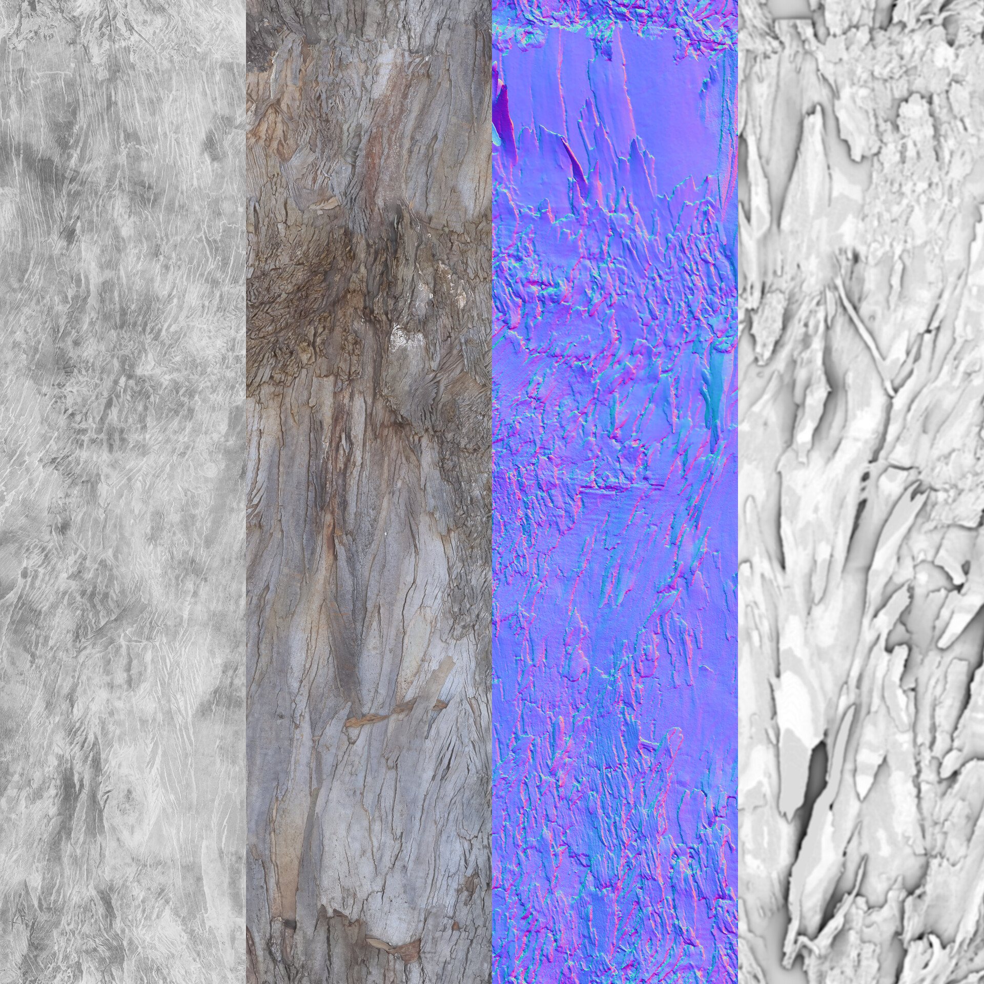 John B - SpeedTree Photogrammetry Eucalyptus Experiments