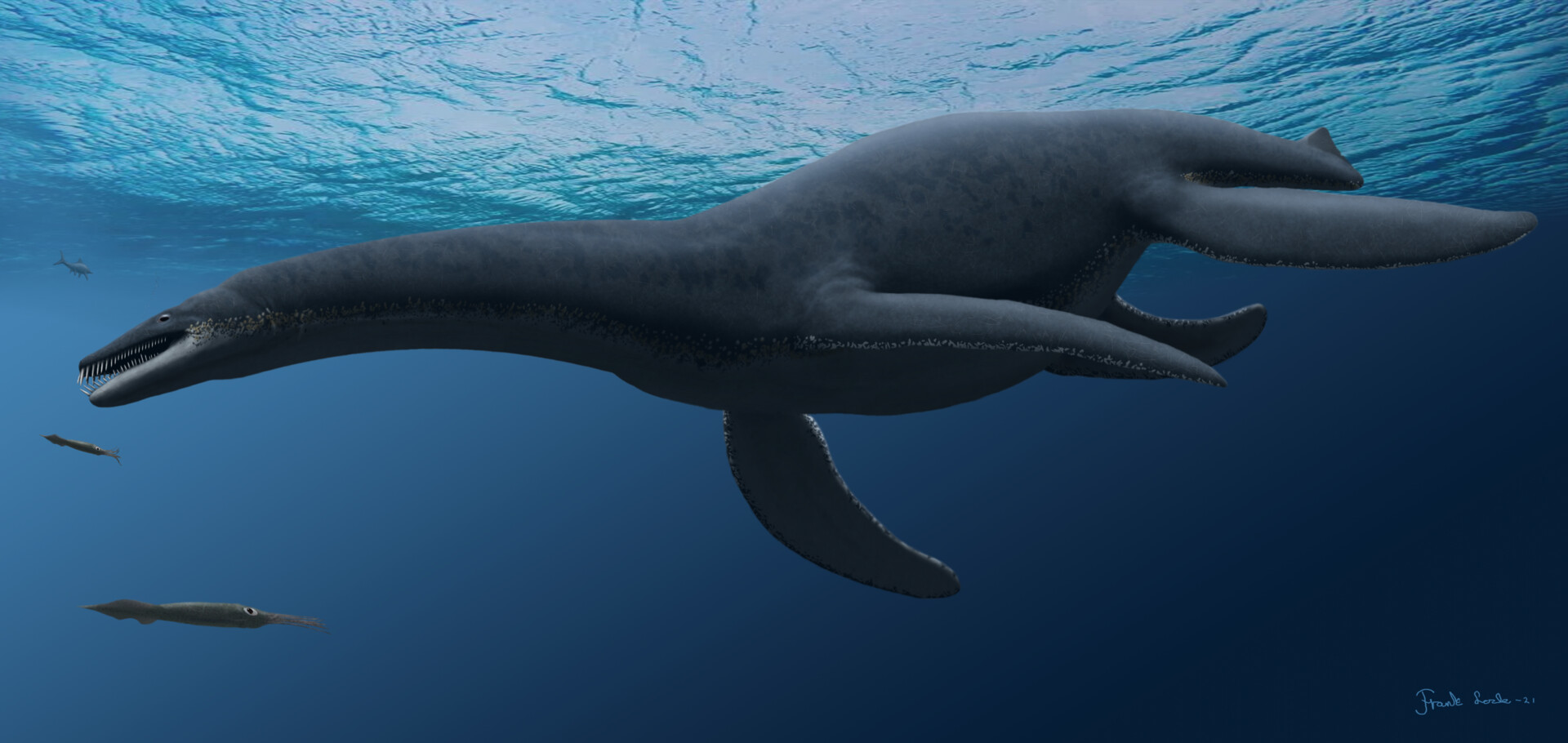 ArtStation - Cryptoclidus.