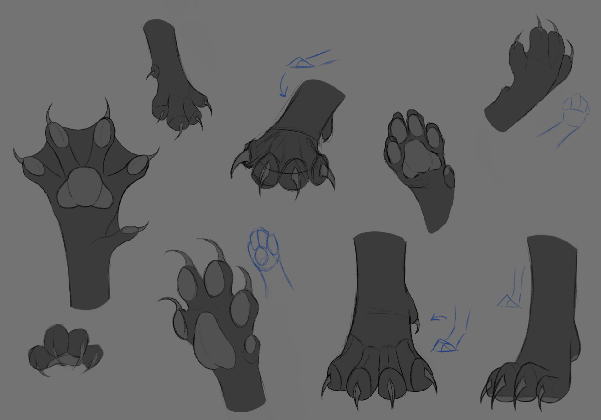 paw study