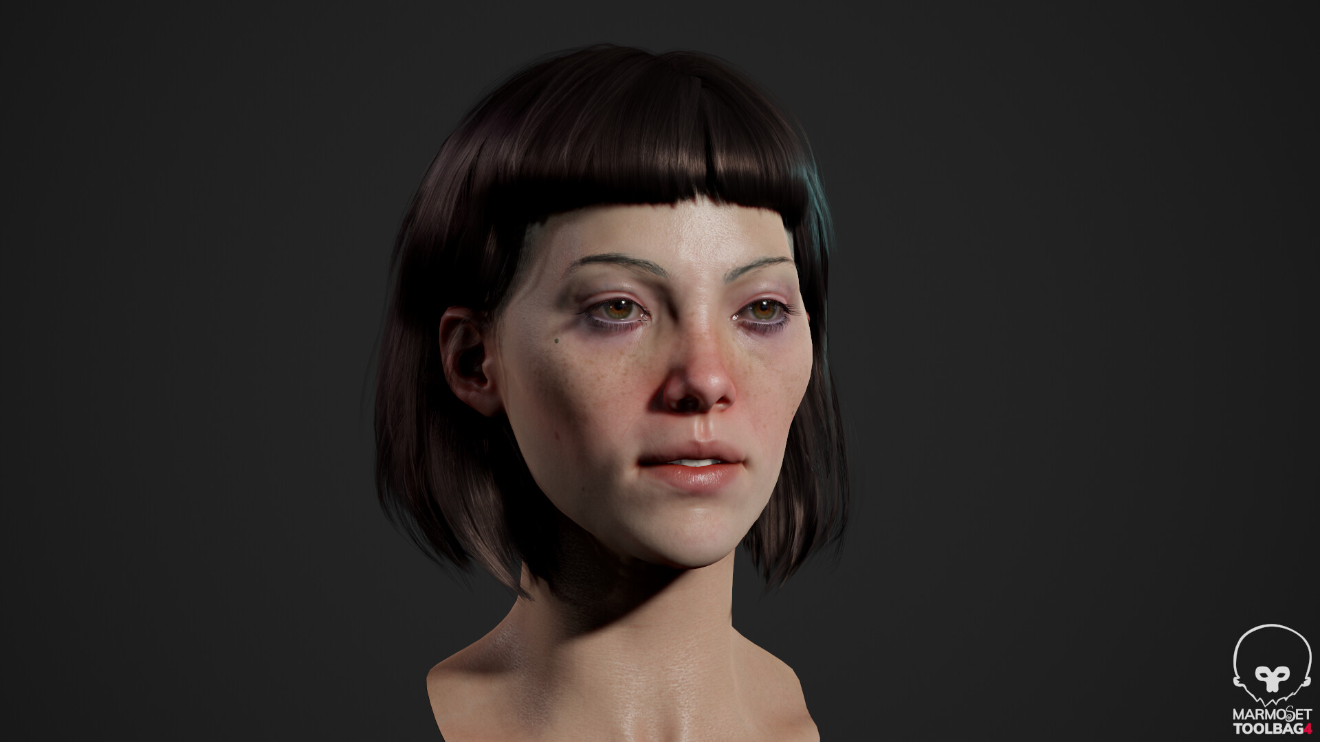 ArtStation - Skin Texture Assignment (Marmoset 4)