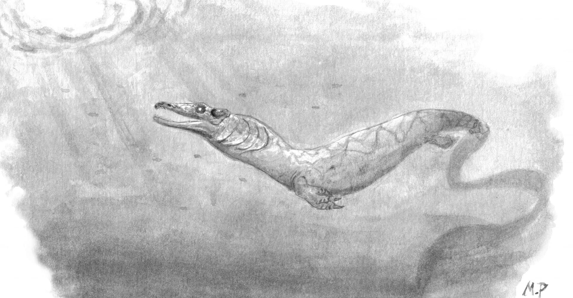 ArtStation - Abyss creature