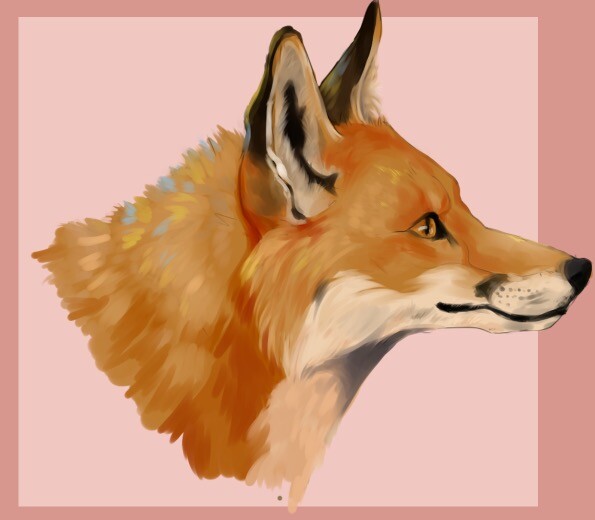 ArtStation - Fox Study