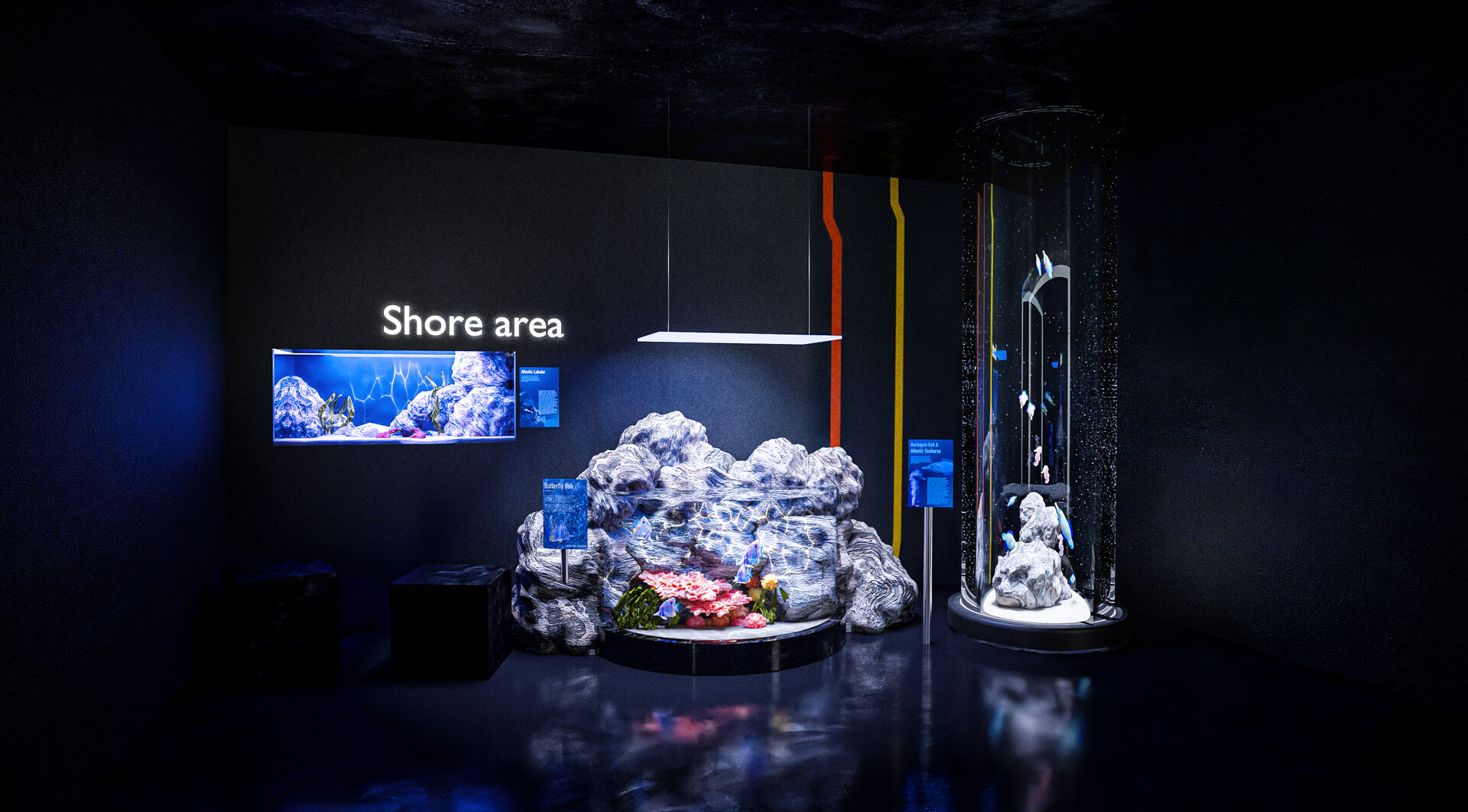 ArtStation - Concept aquarium