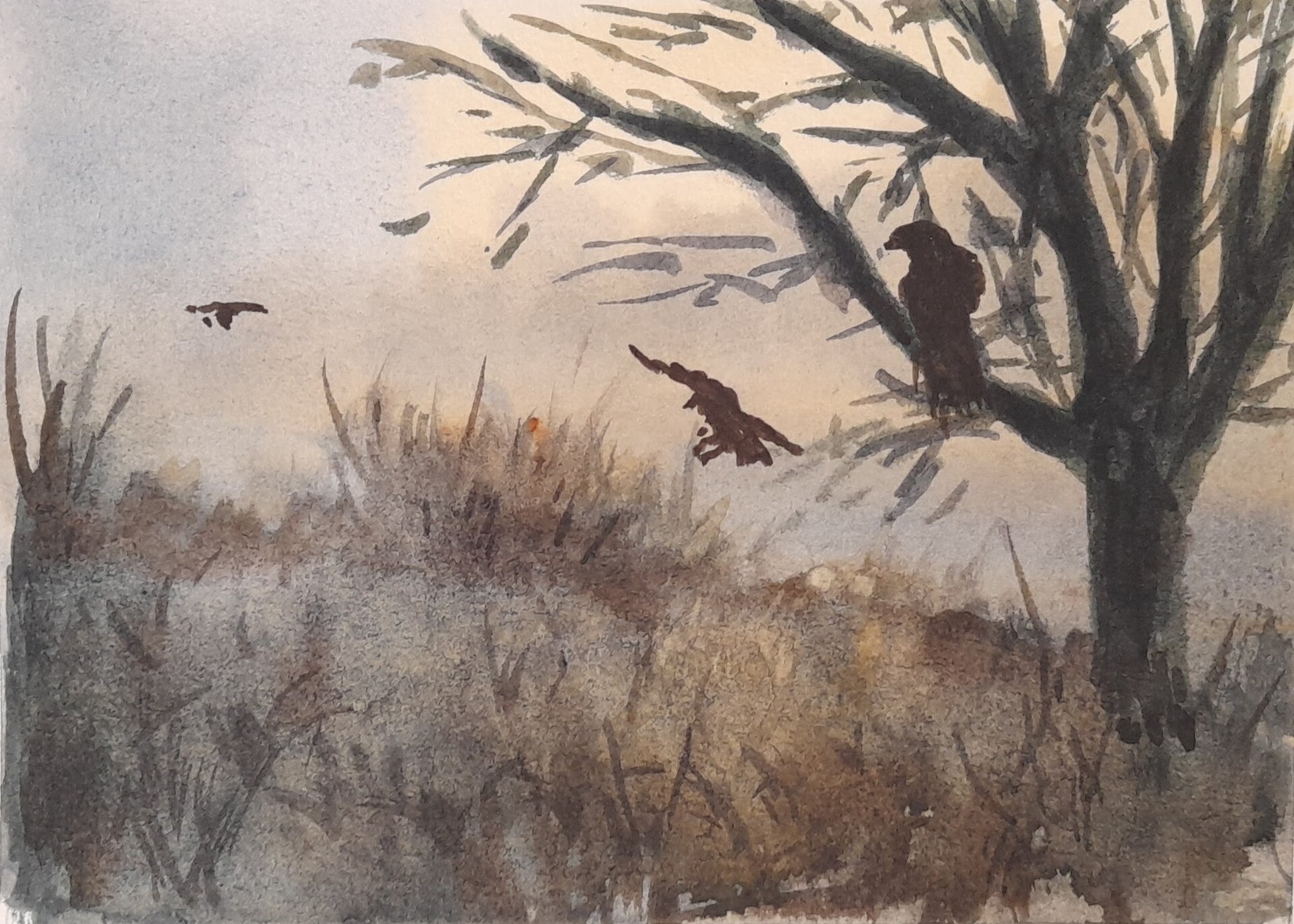 ArtStation - Mist Crow Crow Crow