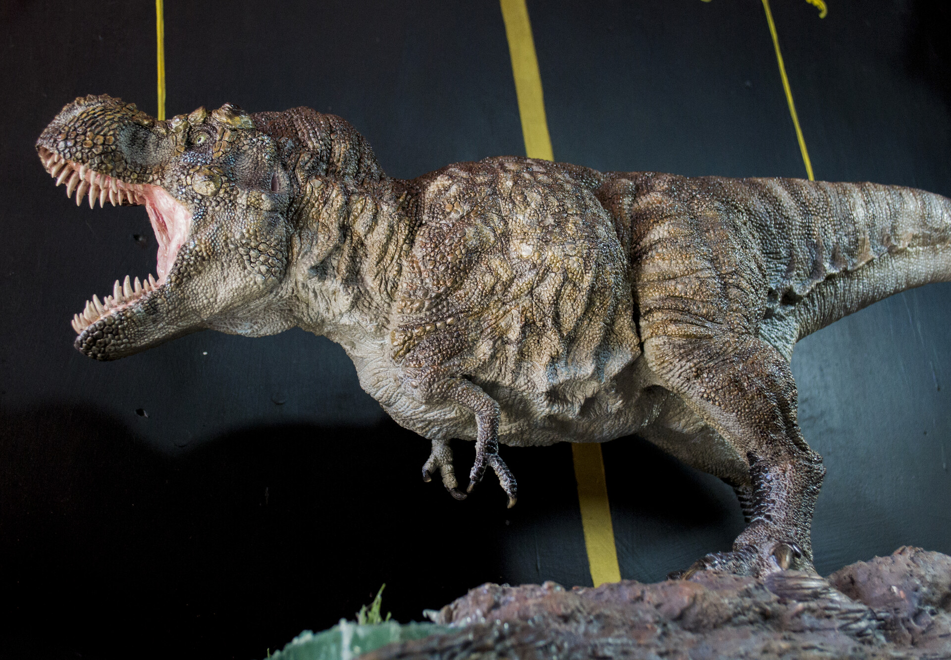 Daniel Isaac - Tyrannosaurus rex