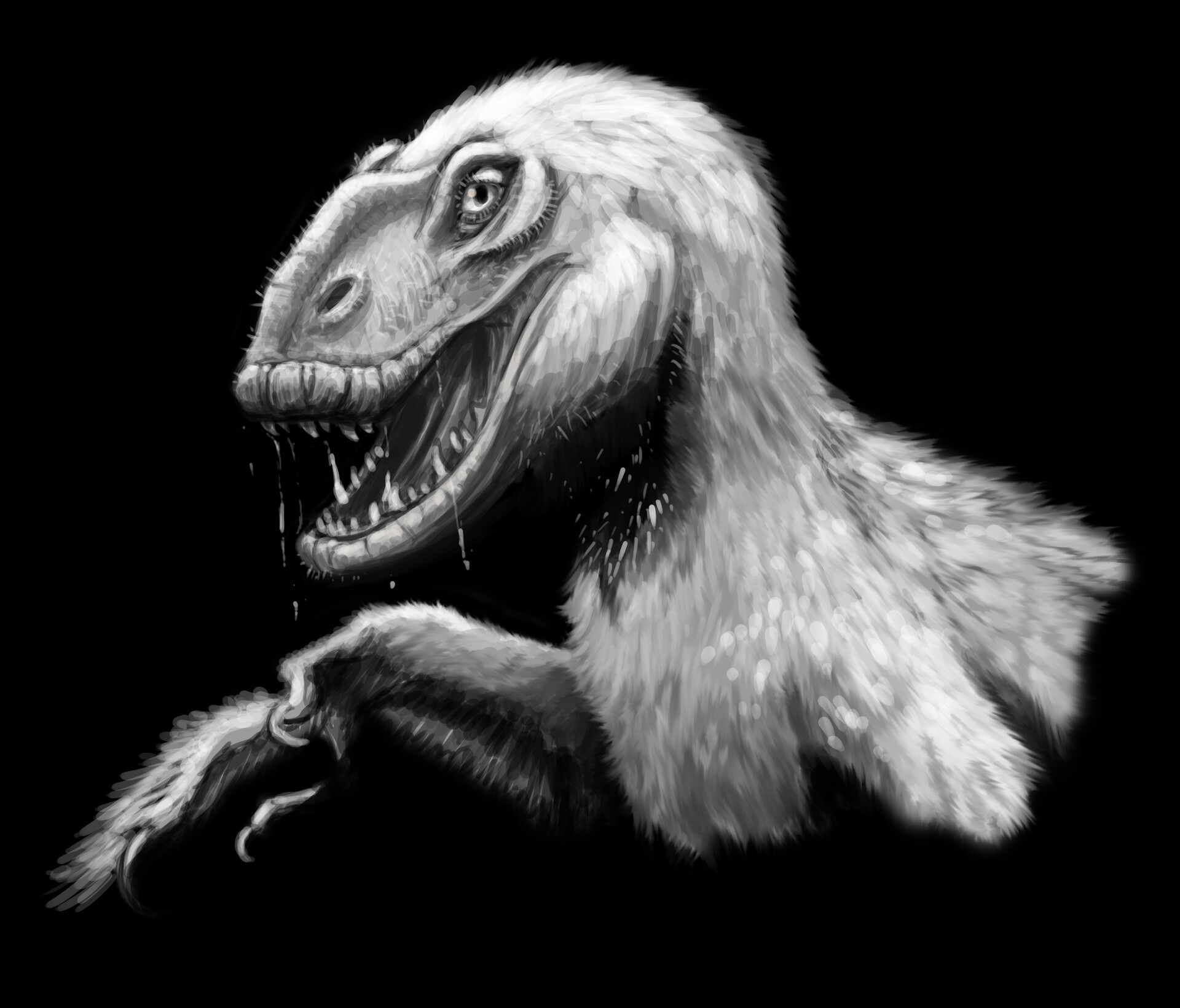 Venatosaurus Drawing