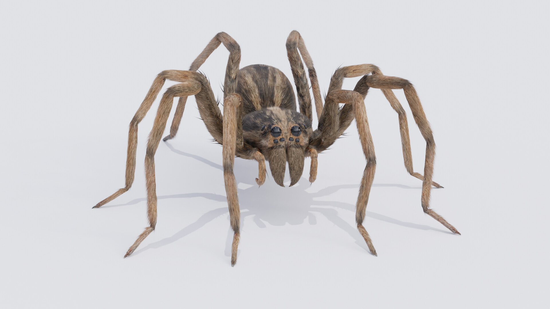 ArtStation - Spider