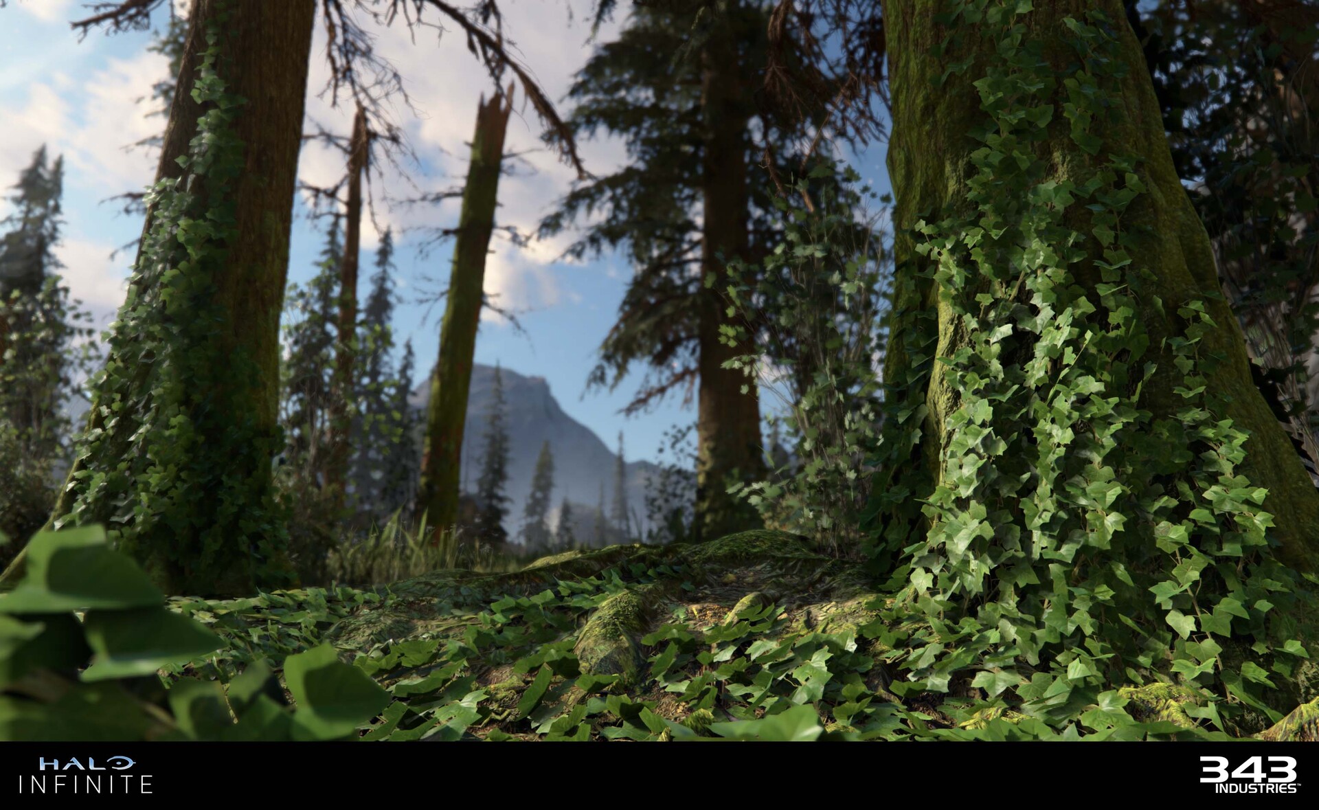 Liz Kirby - Halo Infinite Forest Biome Assets