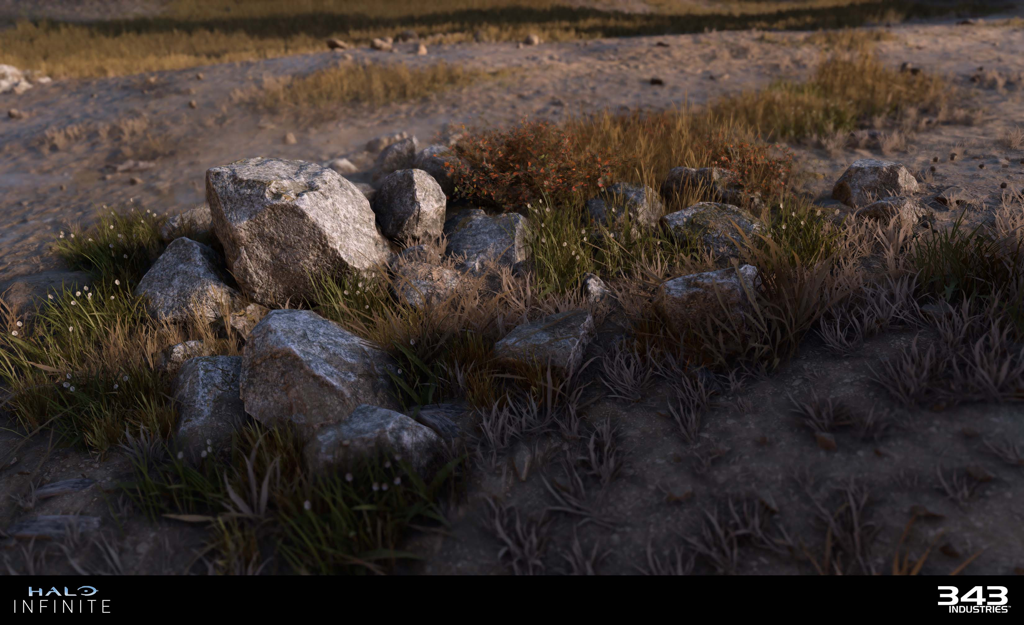 Liz Kirby - Halo Infinite Grass