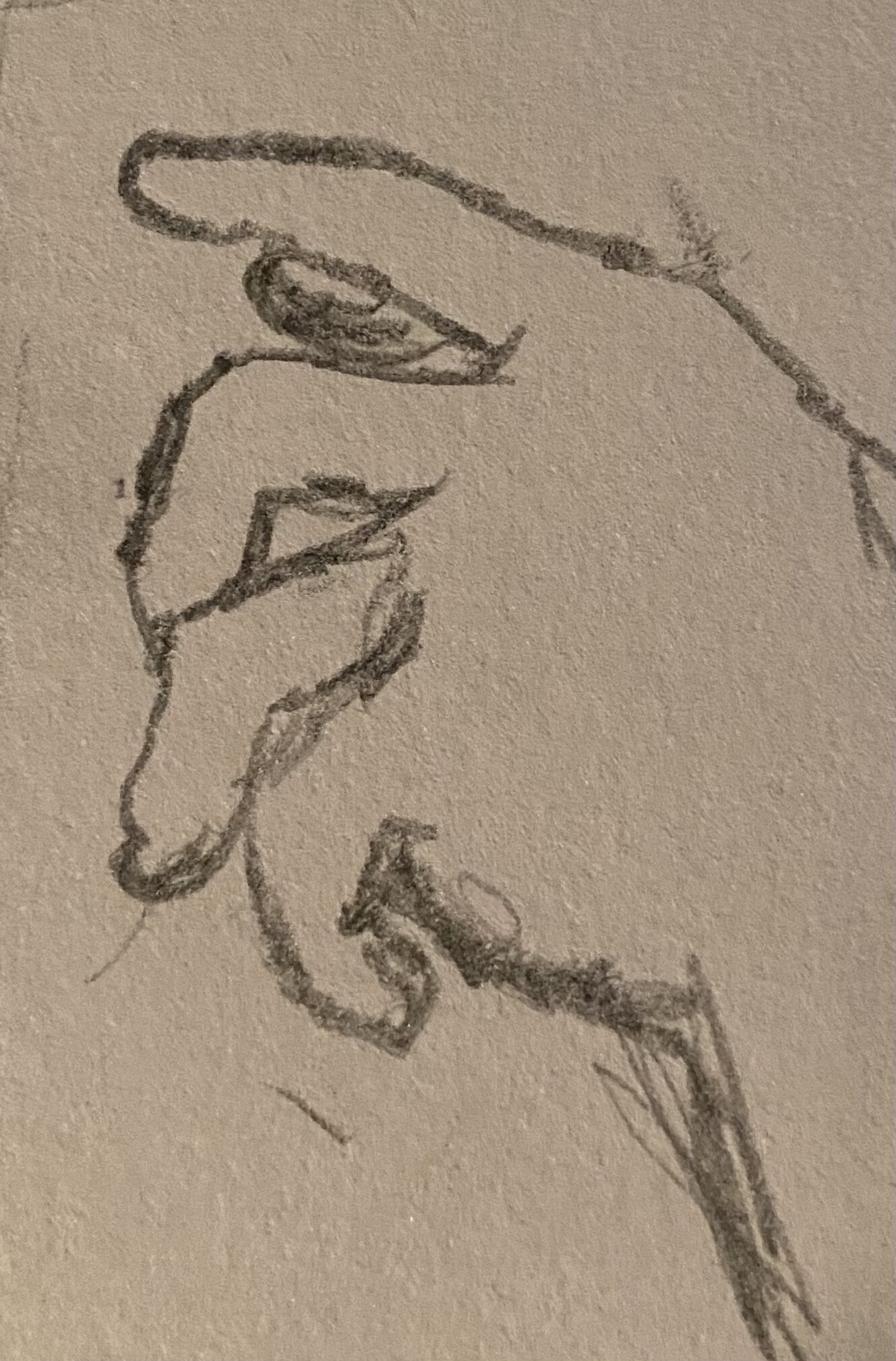 ArtStation - Quick hand sketch. Enjoy