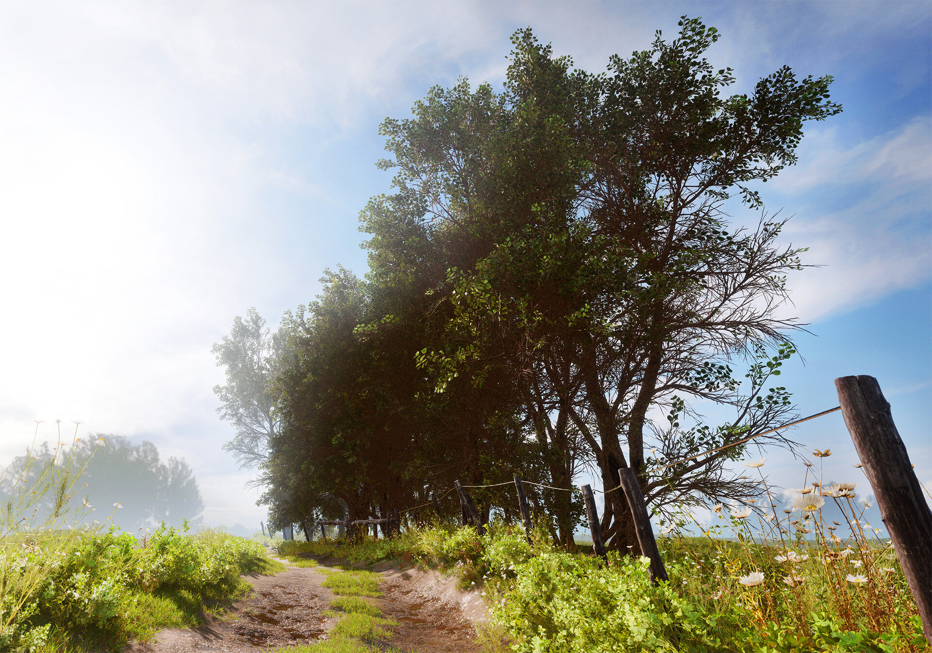 Guillermo Toston - SEASON TEST SCENES. Megascans Trees: European Black ...