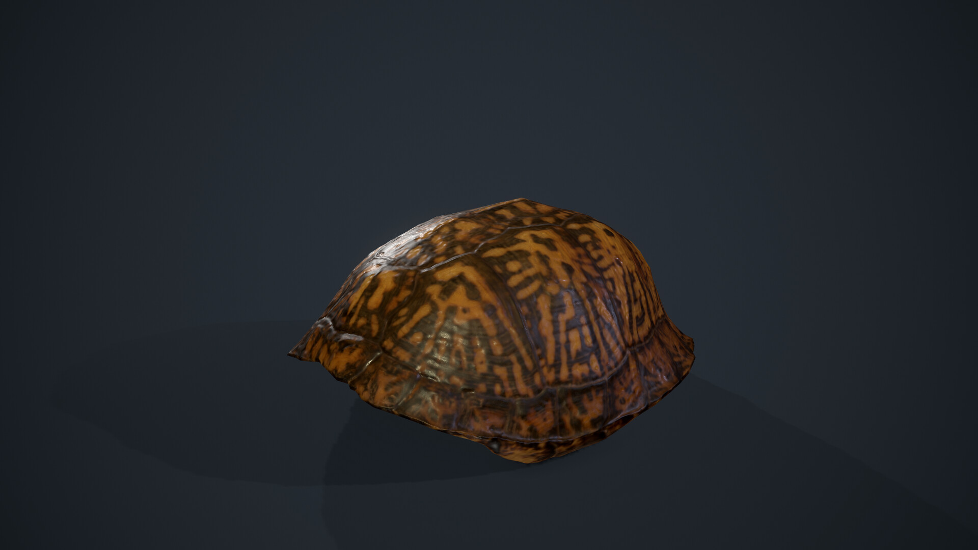 Nikolas Bigger - Photogrammetry Assets