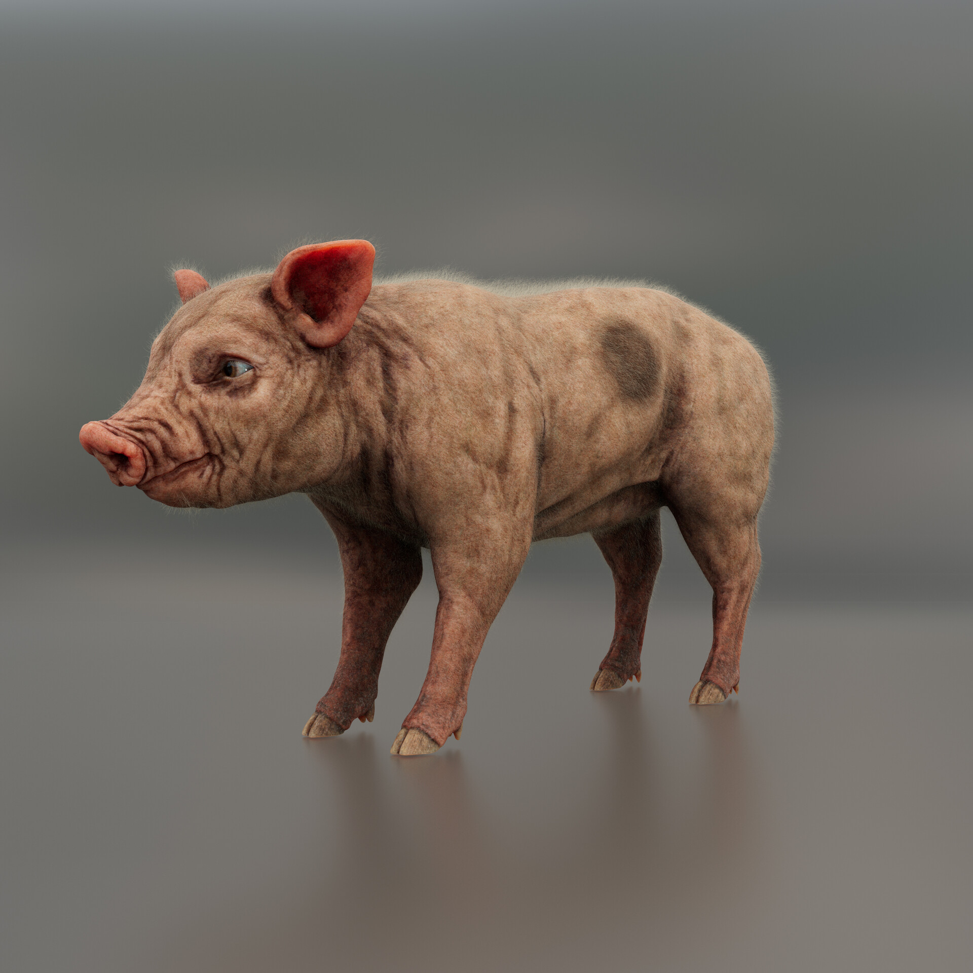 ArtStation - Piglet