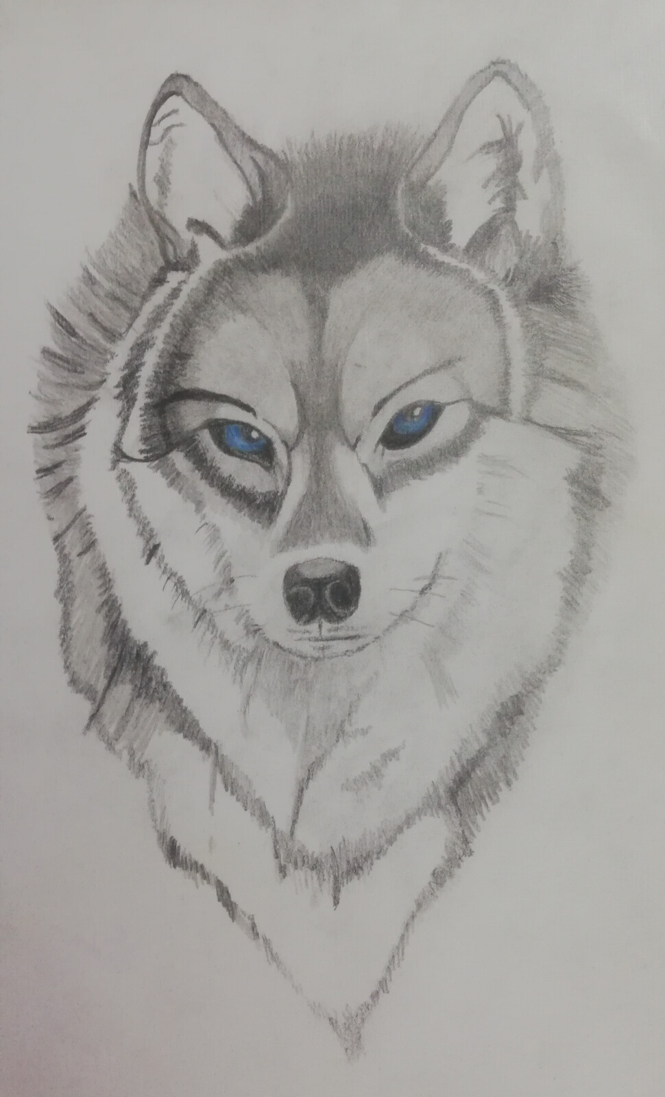 Joey Chin Chi Wai - Wolf Drawing