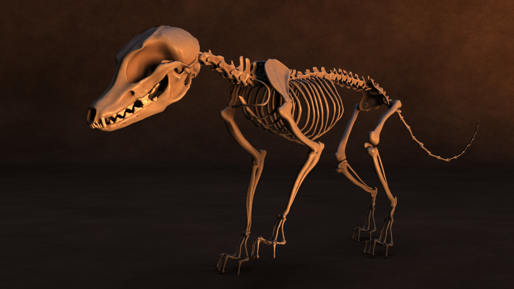 ArtStation - Fox Skeleton