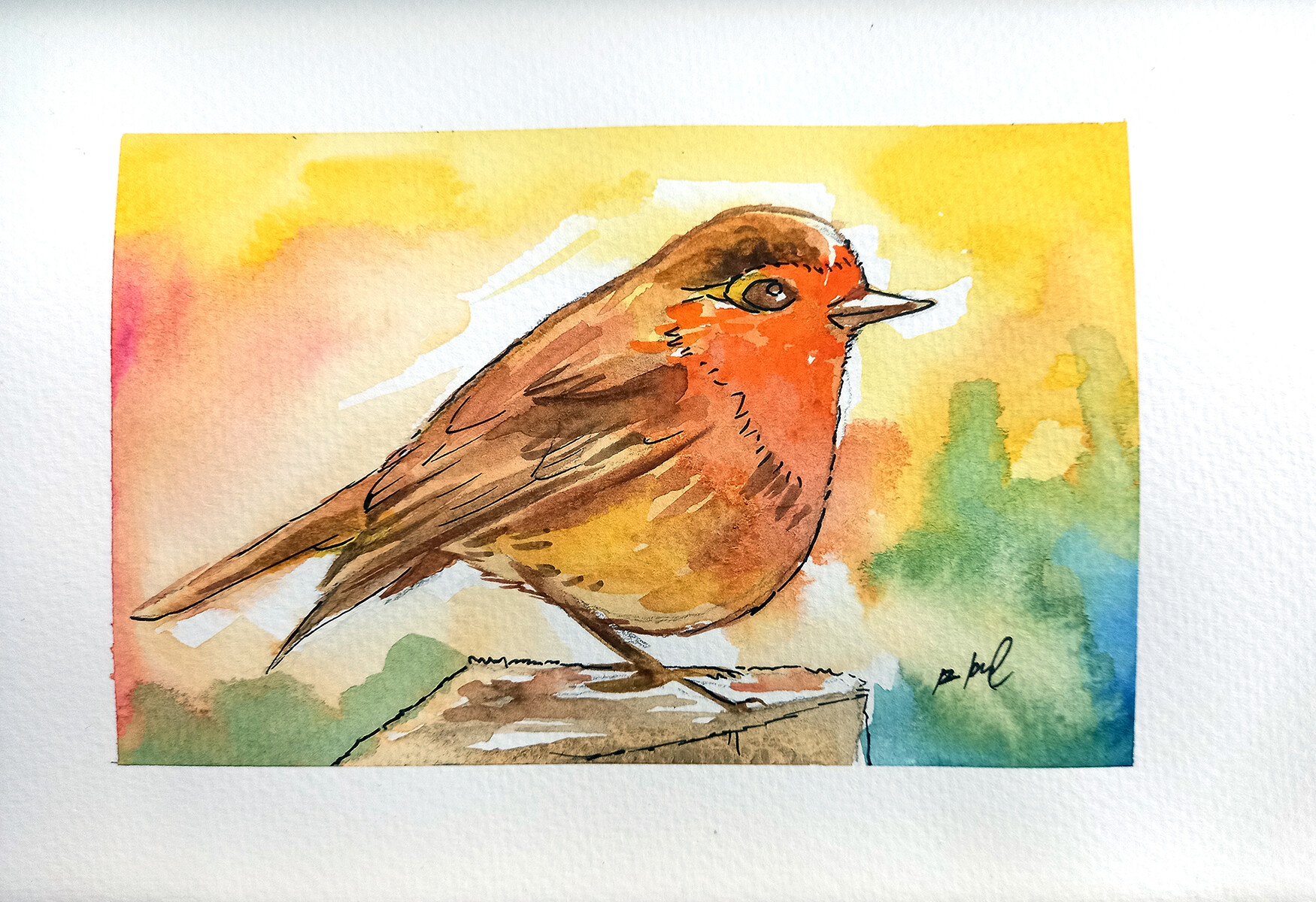 ArtStation - Robin - Watercolor sketch