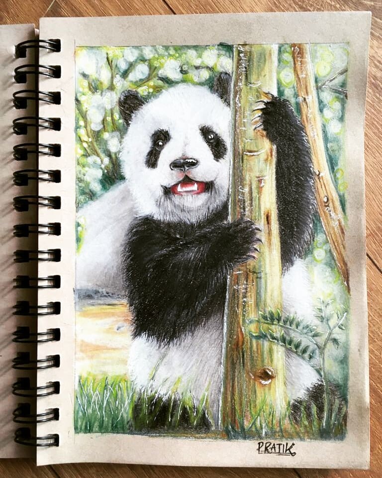 ArtStation - Panda Sketch